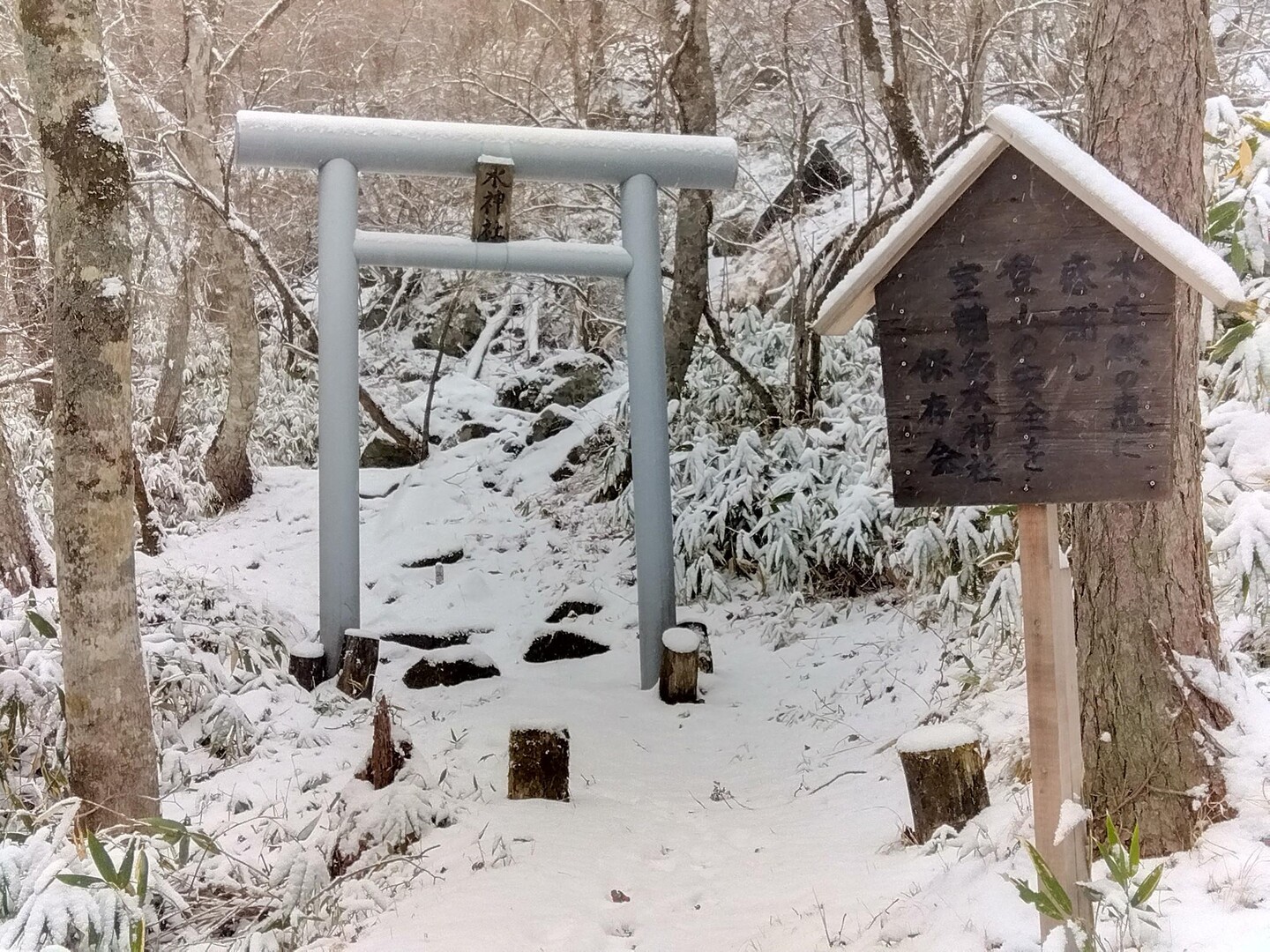 鷲別岳(室蘭岳)夏〜西尾根 / yamasanさんの鷲別岳（室蘭岳）・カムイヌプリの活動データ | YAMAP / ヤマップ