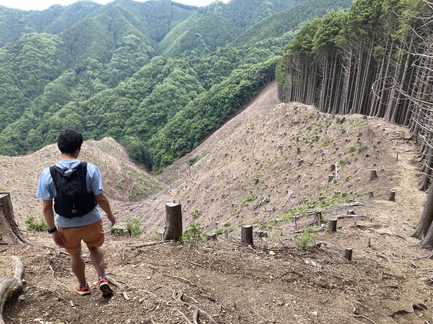 【23km/1800m】ハセツネ30K試走(ショート) / tkmt7010さんの臼杵山・市道山・刈寄山の活動データ | YAMAP / ヤマップ
