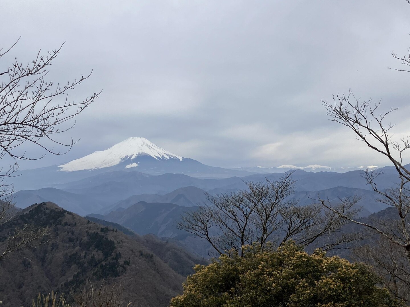 鍋割山・小丸・大丸・塔ノ岳・堀山 / motoh698さんの塔ノ岳・丹沢山・蛭ヶ岳の活動データ | YAMAP / ヤマップ