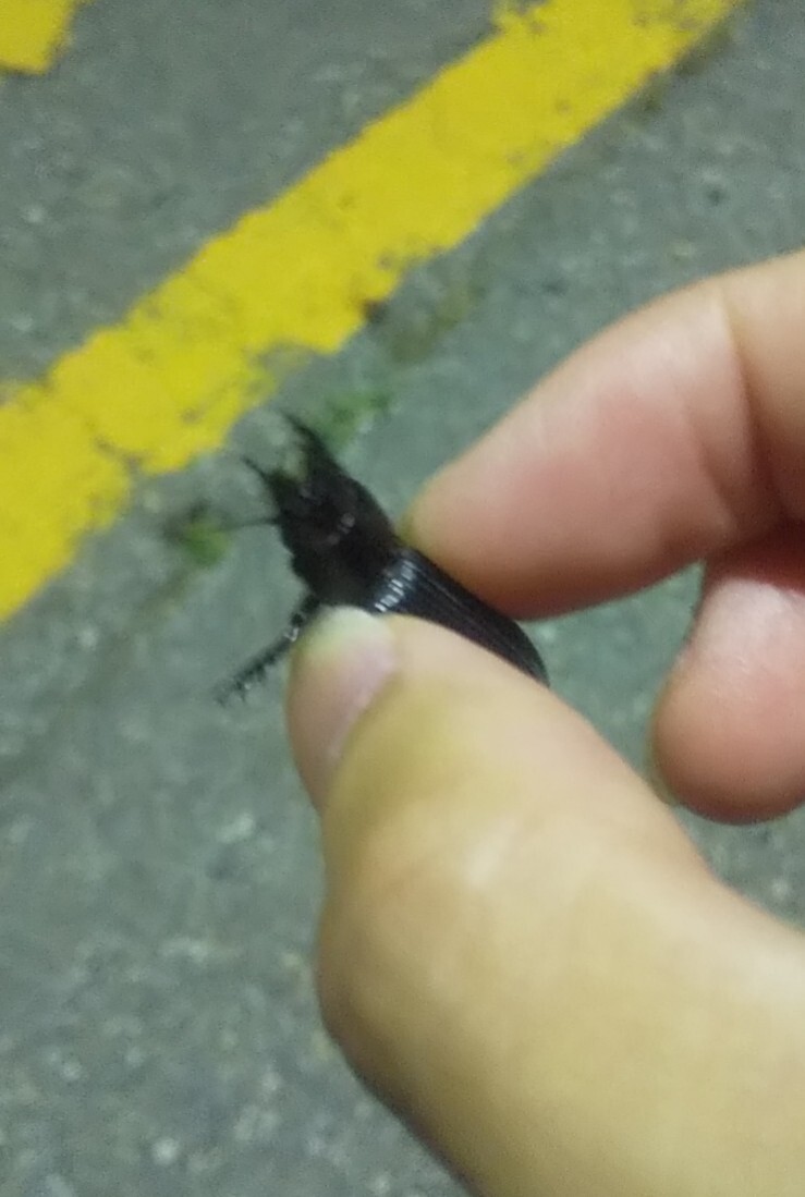 夜の巡回(笑) いつものところで道路の真... / tottinさんのモーメント | YAMAP / ヤマップ