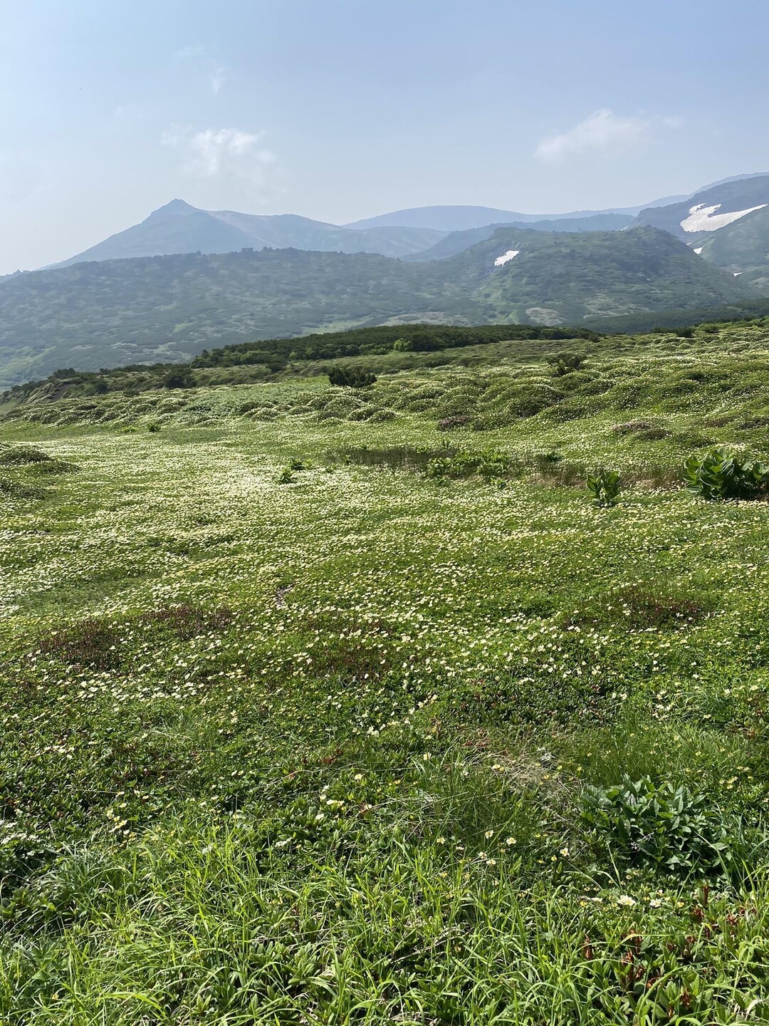 国内2,000m最北端愛別岳 黒岳・北鎮岳・鋸岳・比布岳・安足間岳・桂月岳 / ケンジさんの大雪山系・旭岳・トムラウシの活動データ | YAMAP / ヤマップ