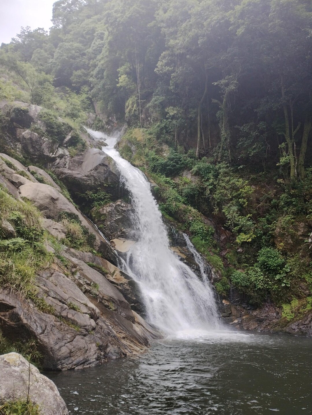 JR九州ウォーキングin相知町 / Romiさんのウォーキングの活動データ | YAMAP / ヤマップ
