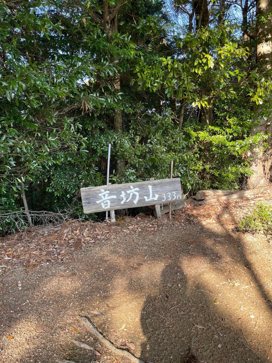 音坊山 / ☆taemon☆さんの太竜寺山の活動データ | YAMAP / ヤマップ