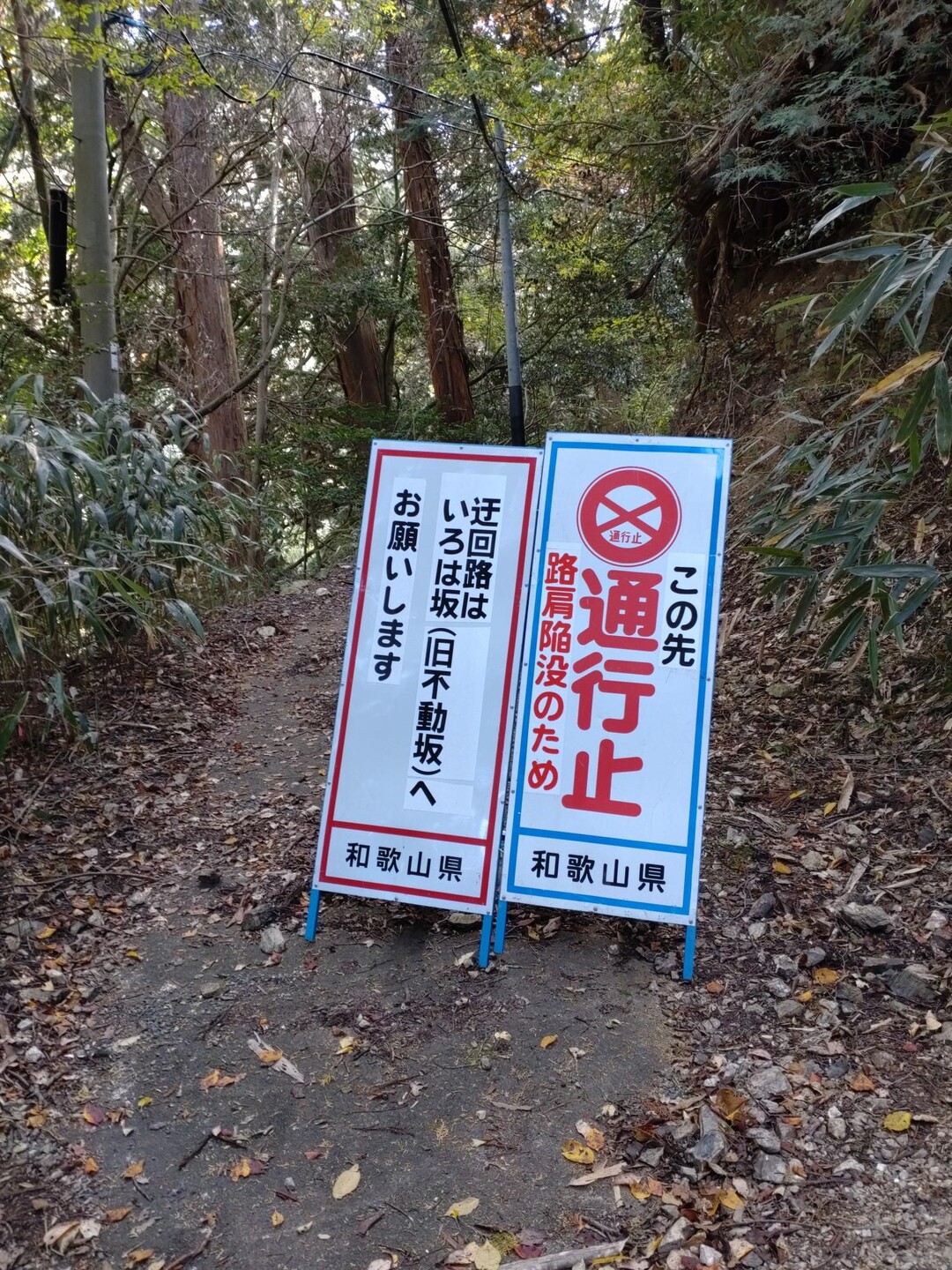 MIMIさんの投稿したフィールドメモ | YAMAP / ヤマップ