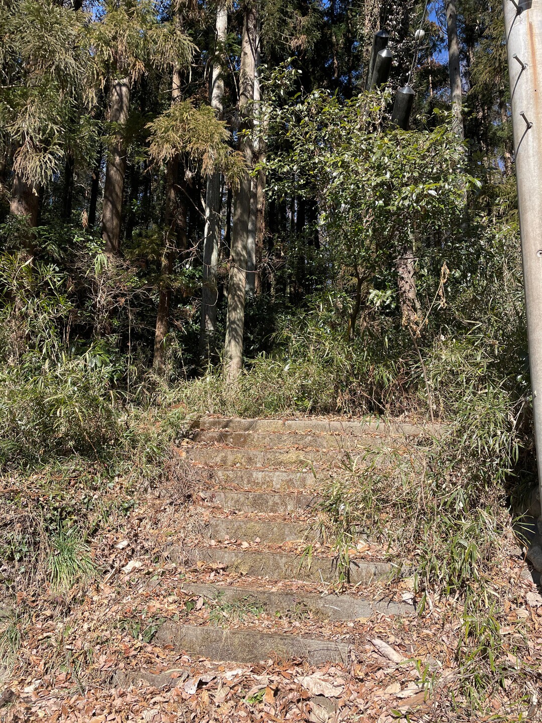 monamonaさんの投稿したフィールドメモ | YAMAP / ヤマップ