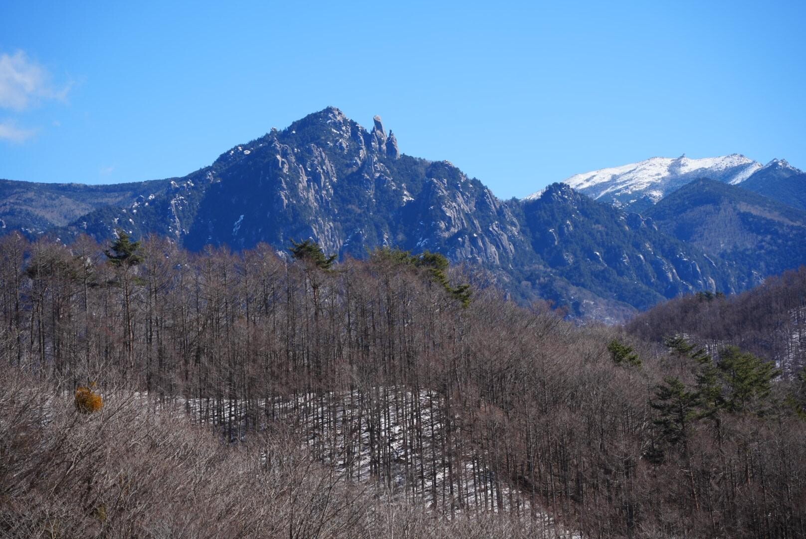 瑞牆山 / jmamaさんの瑞牆山・金峰山の活動データ | YAMAP / ヤマップ