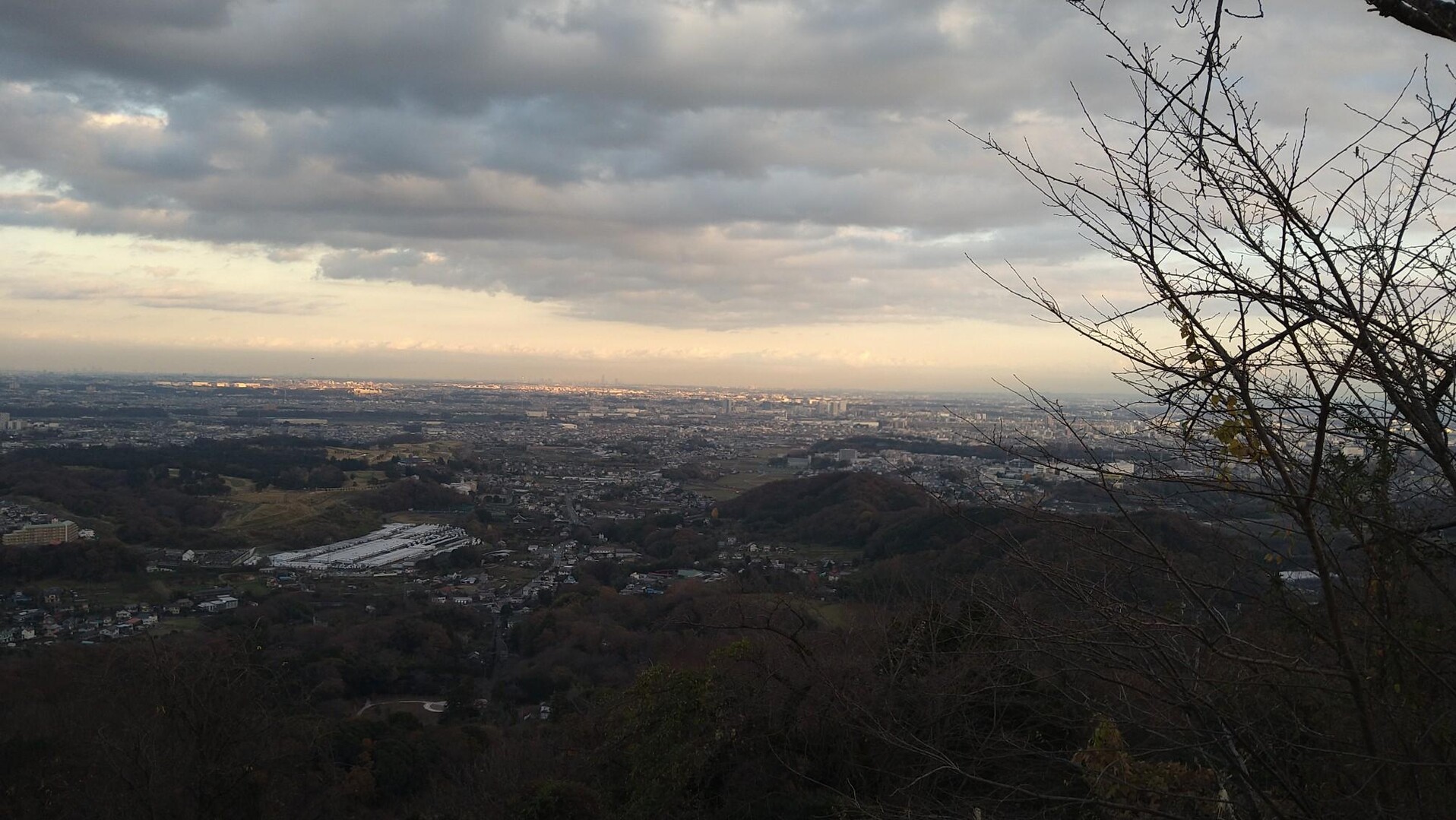 桜山・白山 / aaa521さんの大山の活動データ | YAMAP / ヤマップ