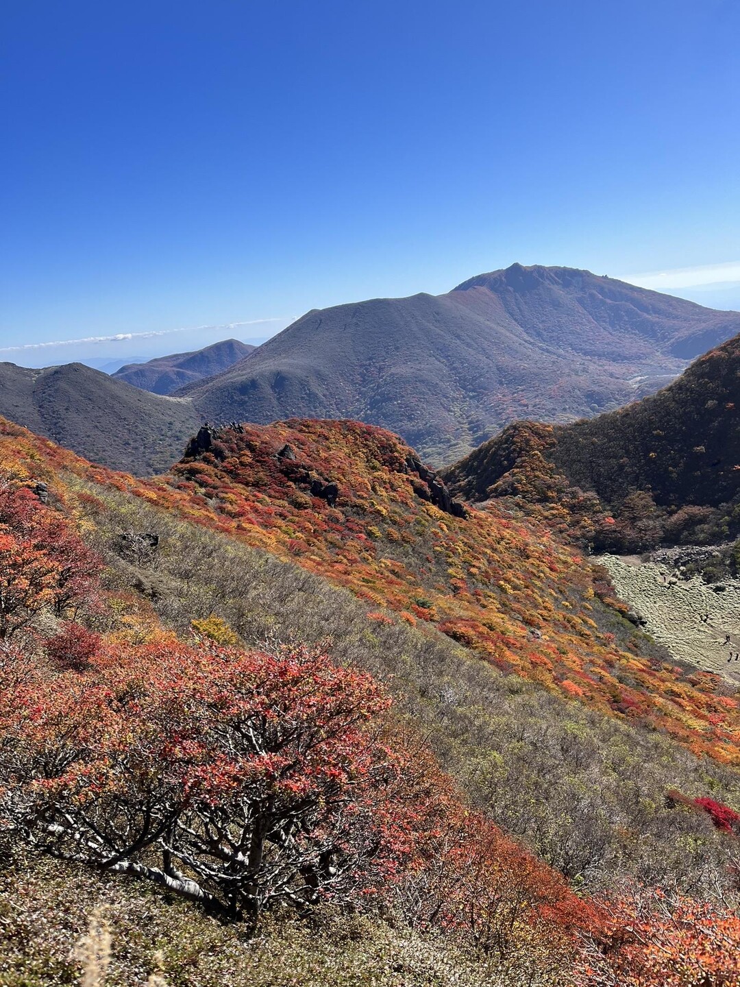 コロコロ隊ついに三俣へ😇 / kunさんの九重山（久住山）・大船山・星生山の活動データ | YAMAP / ヤマップ