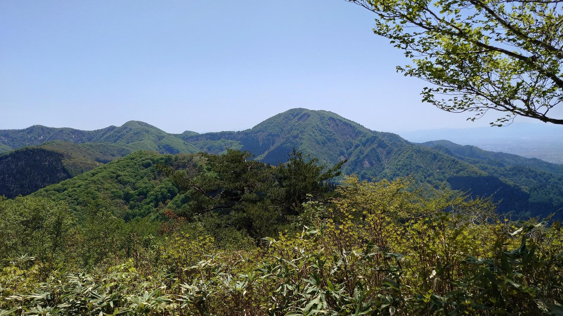 2024、5、4 大平山 / rukyさんの大平山の活動データ | YAMAP / ヤマップ