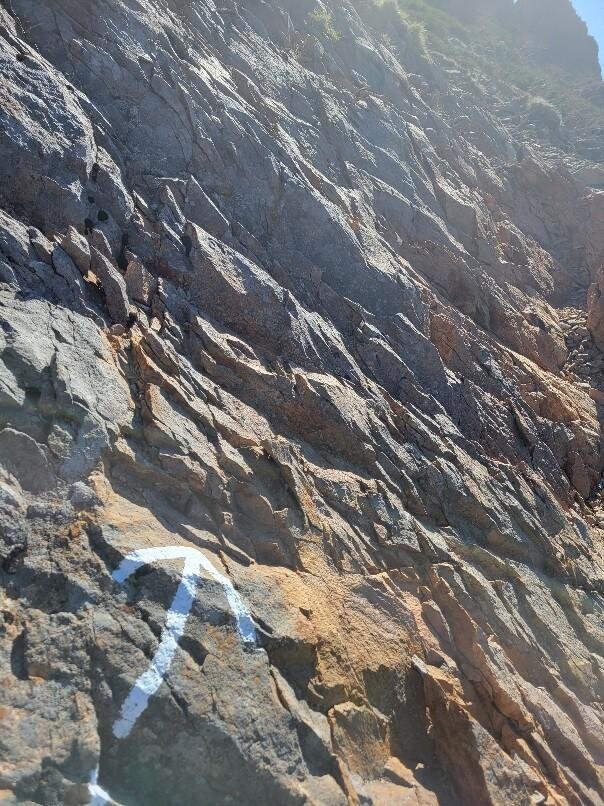 南八ヶ岳縦走 小淵沢駅～渋の湯 / yasu konさんの八ヶ岳（赤岳・硫黄岳・天狗岳）の活動日記 | YAMAP / ヤマップ