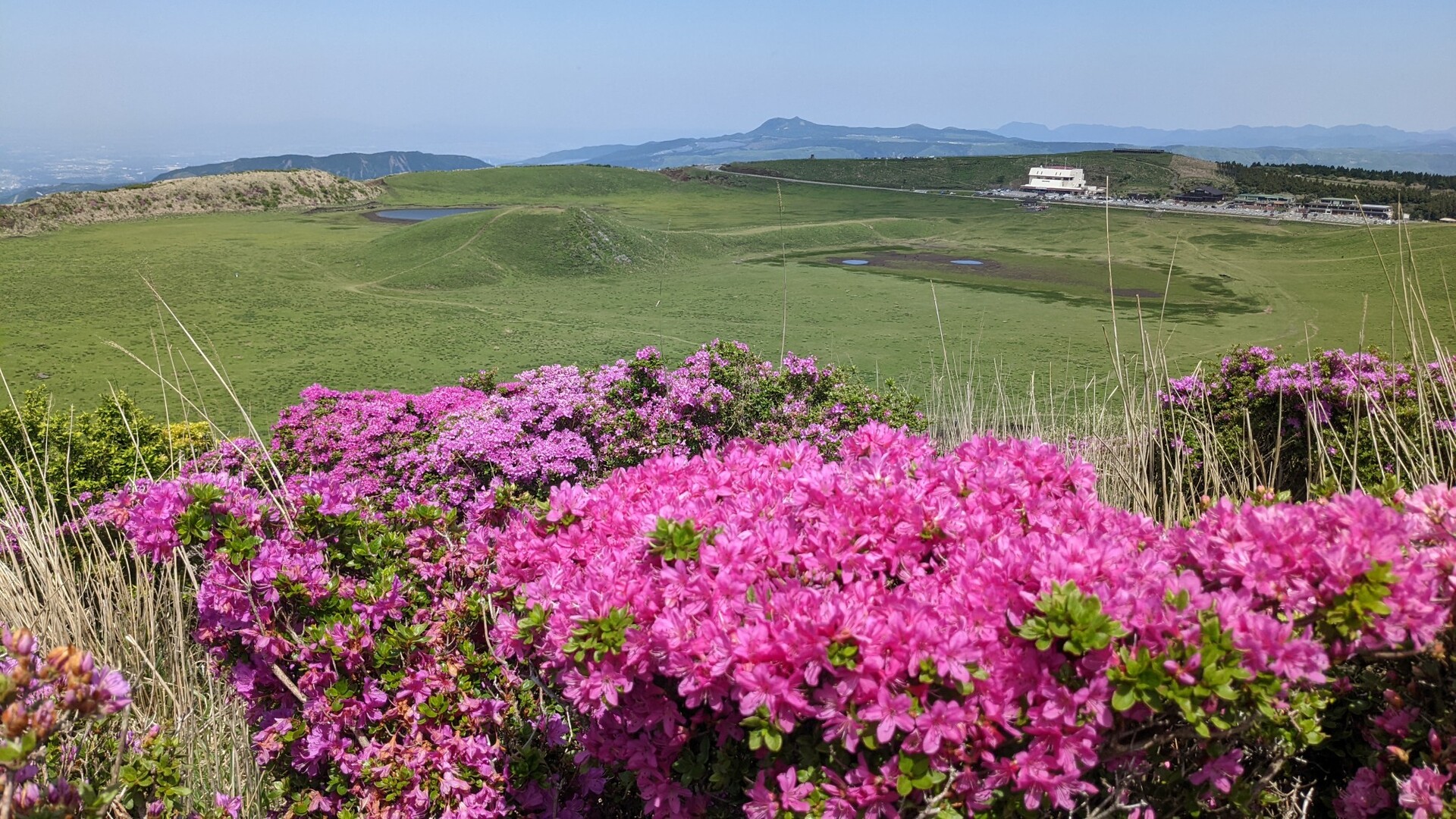 ミヤマキリシマ・リンドウ・ミヤマキンポウゲ / ima3さんの阿蘇山・高岳・根子岳の活動データ | YAMAP / ヤマップ