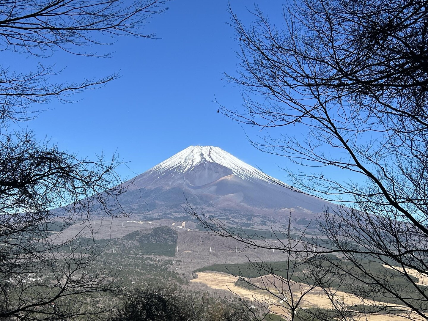 黒岳・越前岳 / lunaさんのFUJISAN LONG TRAIL（愛鷹・富士南麓エリア SOUTH）の活動データ | YAMAP / ヤマップ