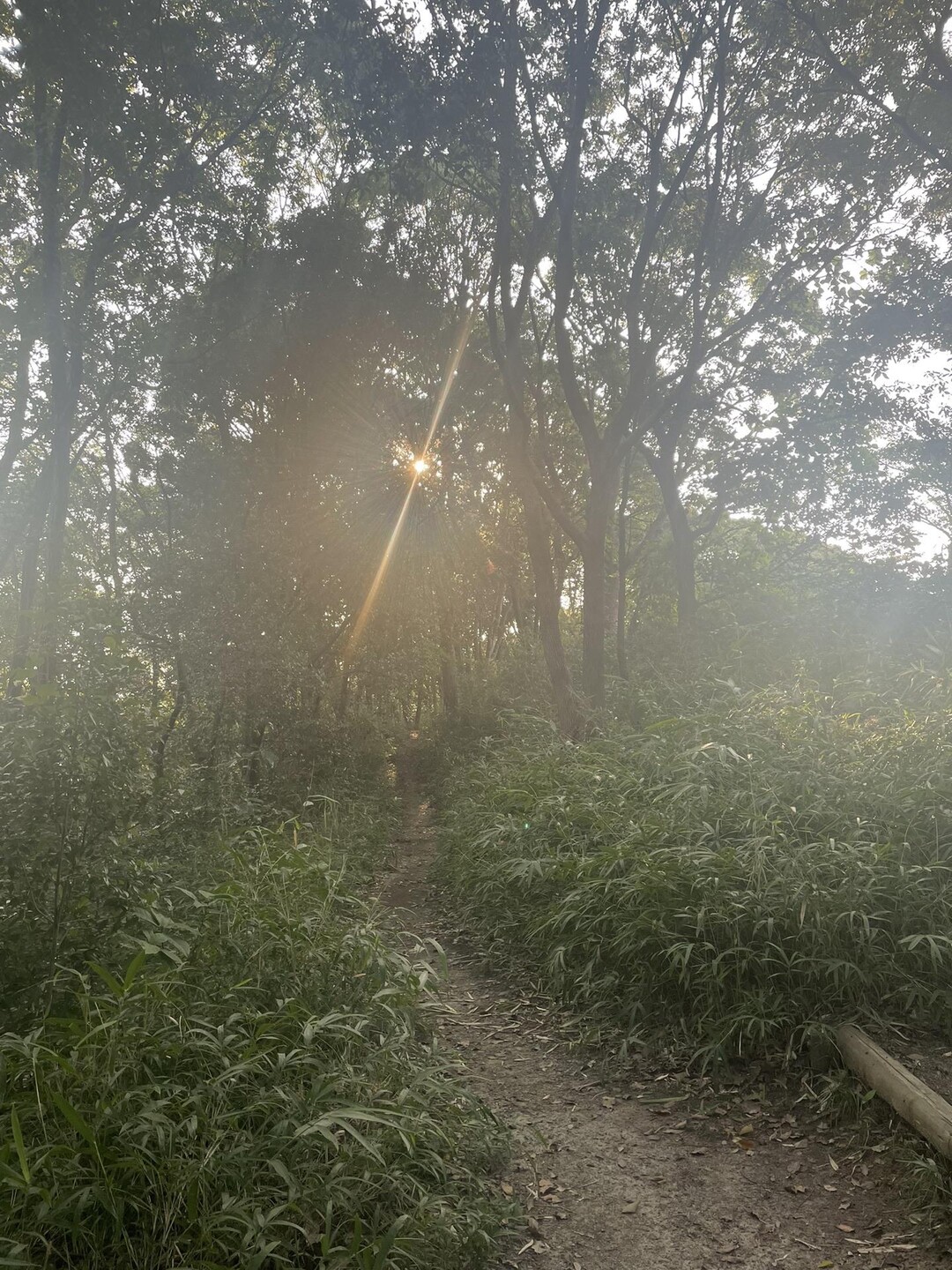 倉敷に引越して初めて足高山に登った時出会... / Sineiさんのモーメント | YAMAP / ヤマップ