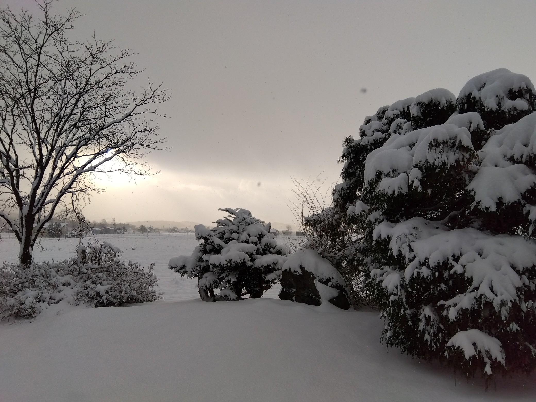 いえーい 雪の道をただ歩く動画 htt... / 千岳さんのモーメント | YAMAP / ヤマップ