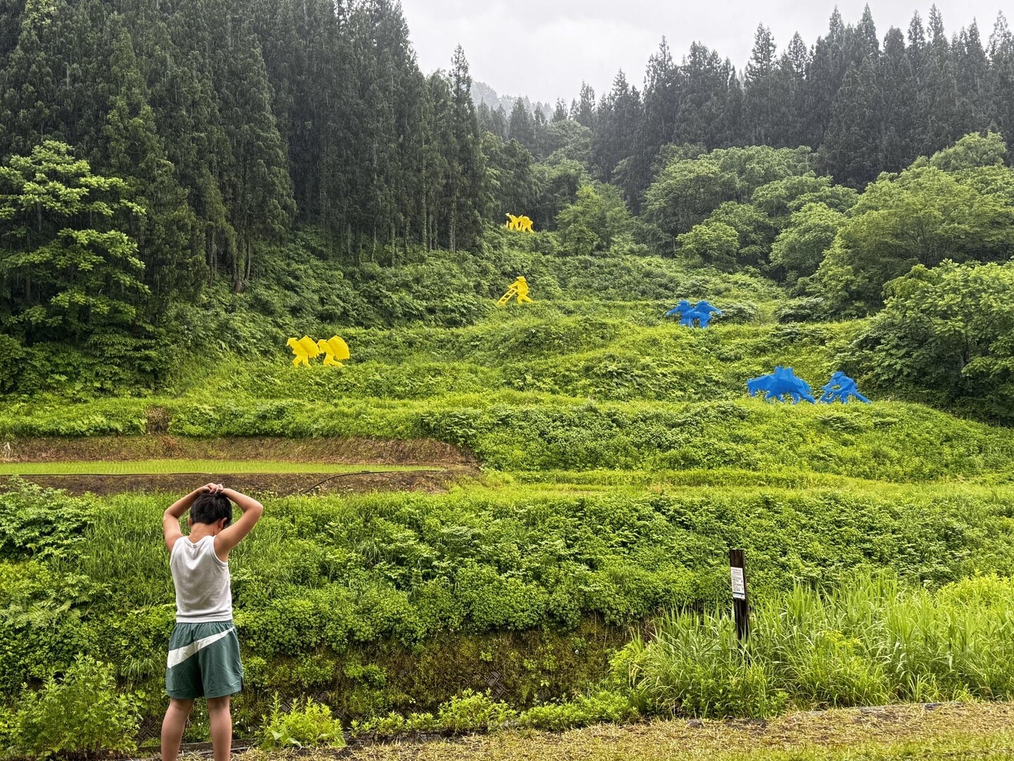 2024越後まつだい春の陣 25km / すずみ さんの十日町市の活動データ | YAMAP / ヤマップ