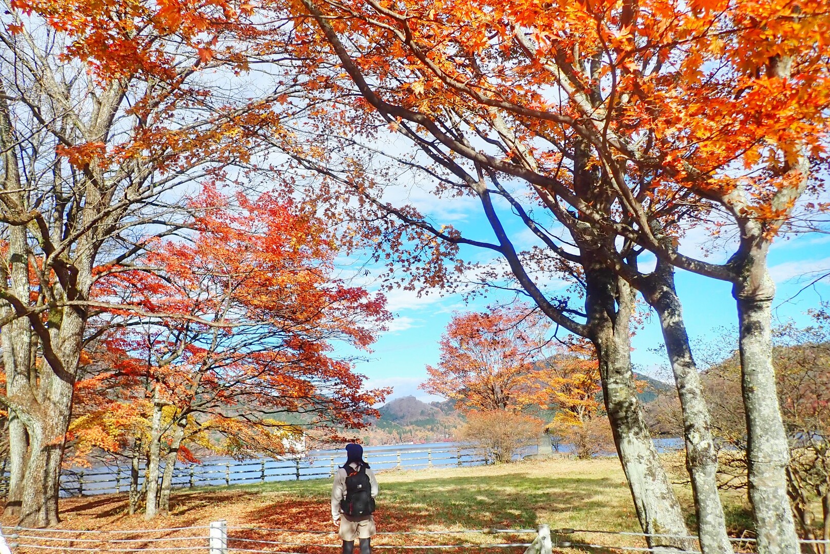 群馬県榛名湖付近紅葉🍁ピークです。 / sai。さんのモーメント | YAMAP / ヤマップ
