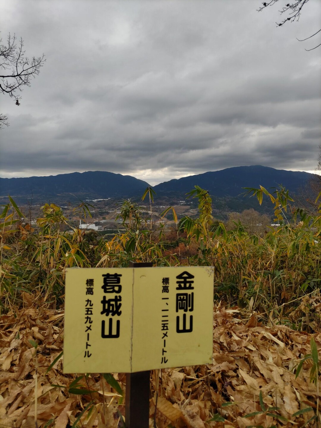 登り納め 金胎寺山 / T64さんの岩湧山・一徳防山・三石山の活動日記 | YAMAP / ヤマップ