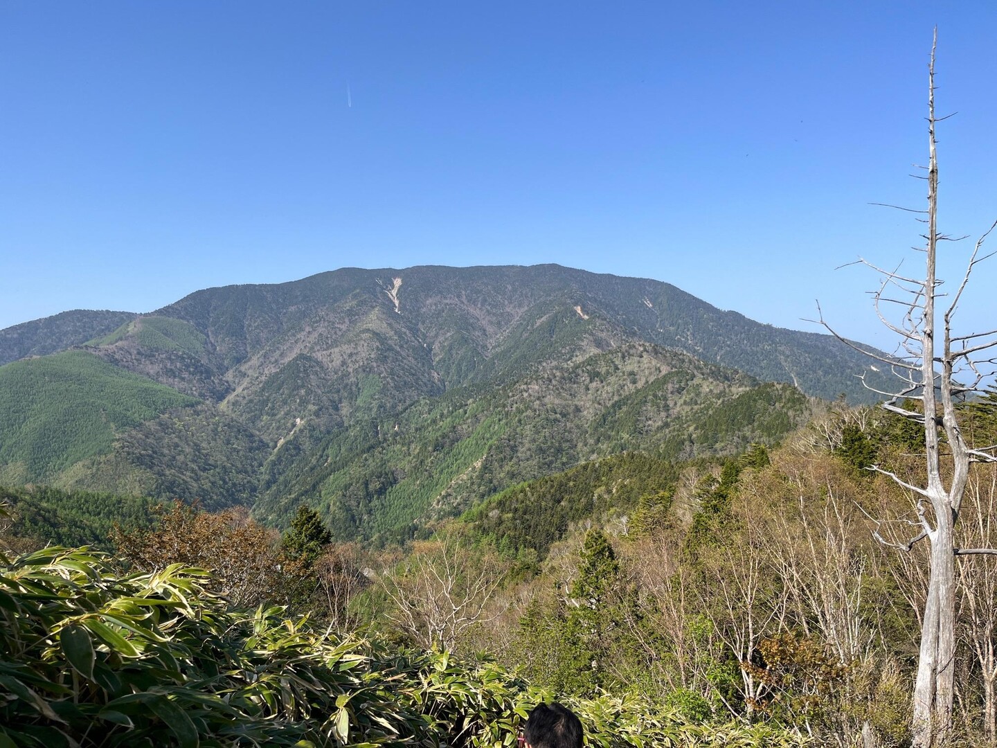 千両山・大判山・恵那山 / D51さんの恵那山・大判山・神坂山の活動データ | YAMAP / ヤマップ