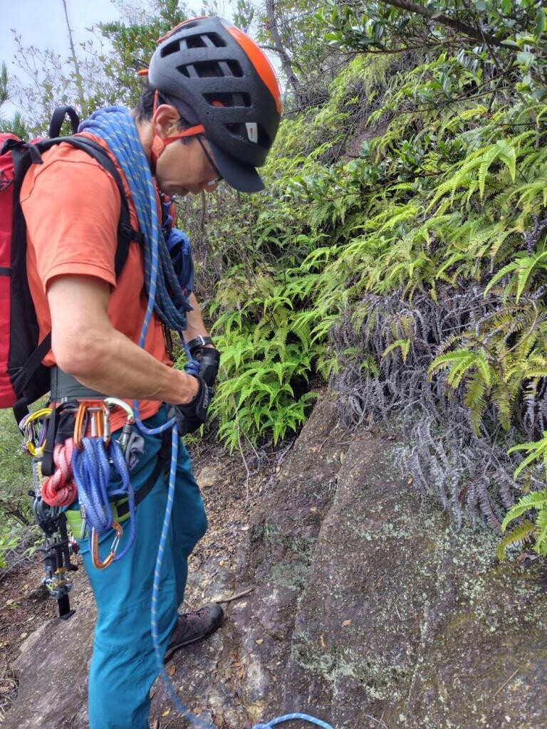 烏帽子岩山 / fujitacさんの絵下山・天狗城山・森山の活動日記 | YAMAP / ヤマップ