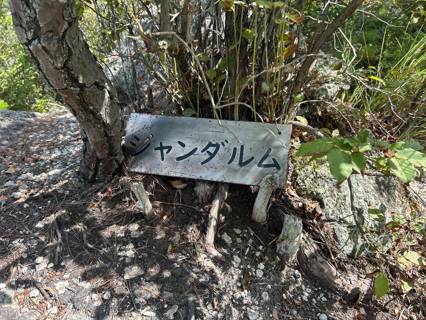 和気アルプス（和気富士・ジャンダルム•神ノ上山etc…） / 𝕒𝕫𝕦𝕞𝕒さんの和気アルプス・和気富士・神ノ上山の活動データ | YAMAP / ヤマップ