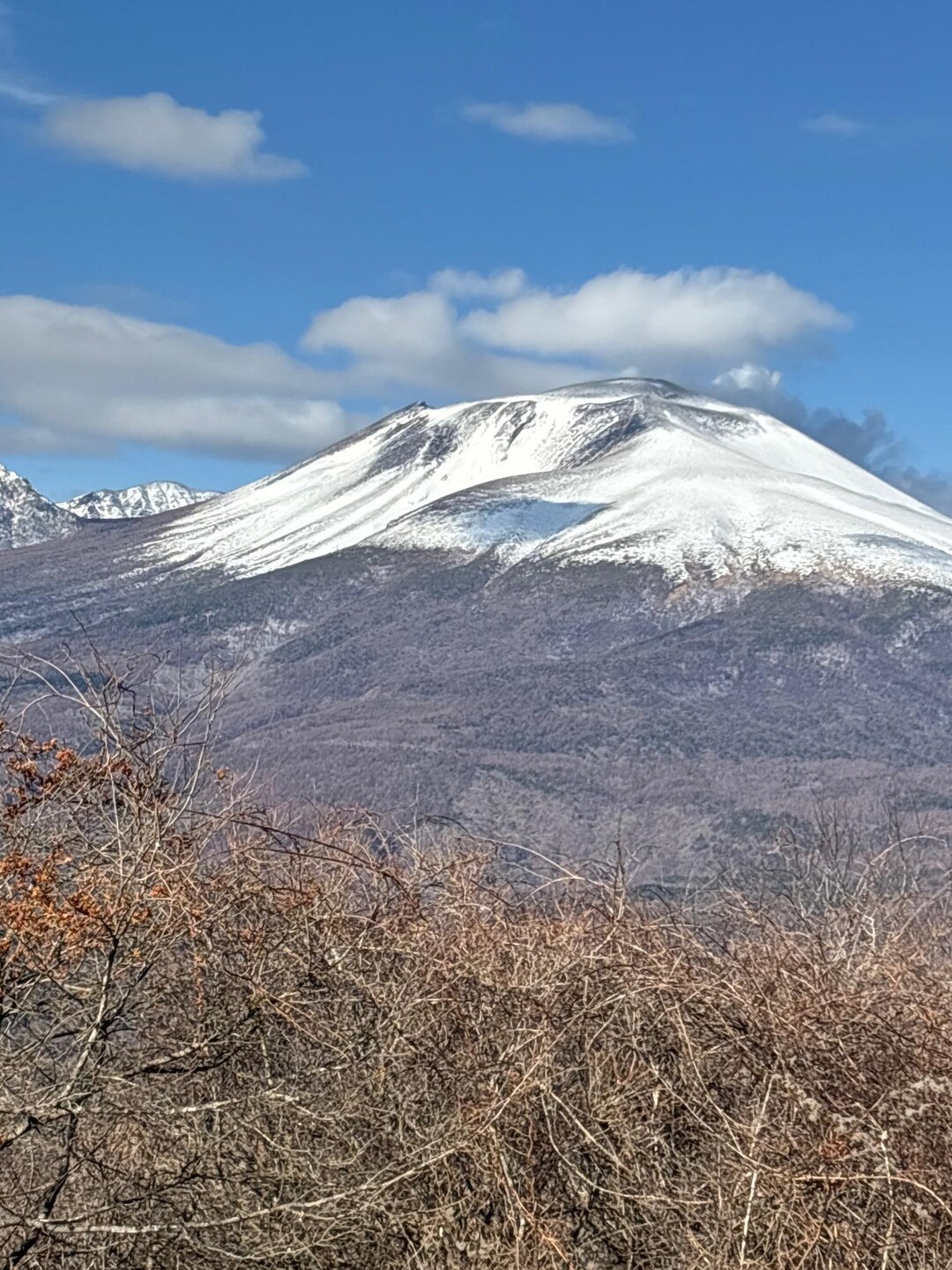 離山…軽井沢のど真ん中😊 / conyさんの鼻曲山・氷妻山・留夫山の活動データ | YAMAP / ヤマップ