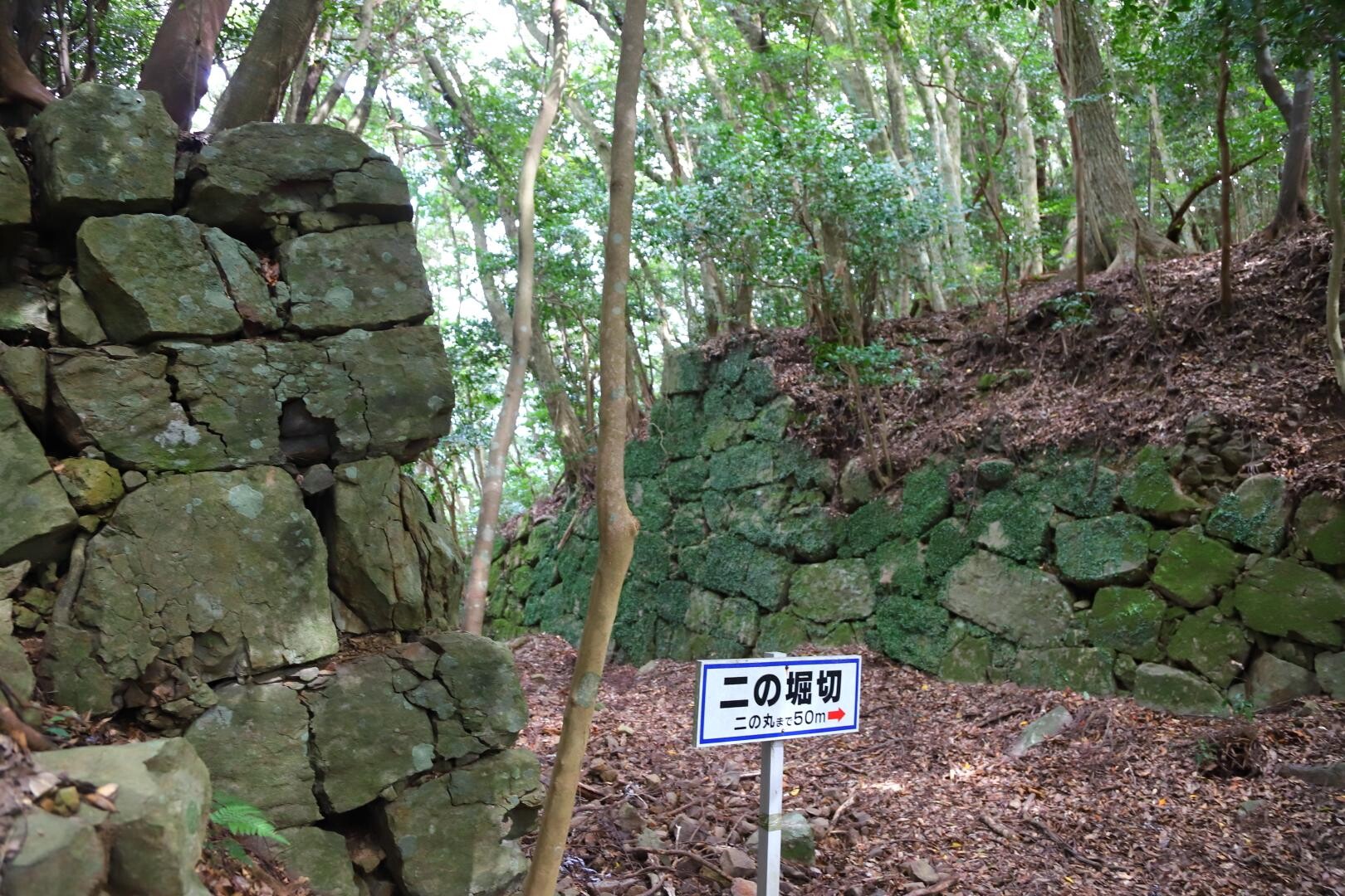 唐津の山城 岸岳 / yavさんの岸岳の活動データ | YAMAP / ヤマップ