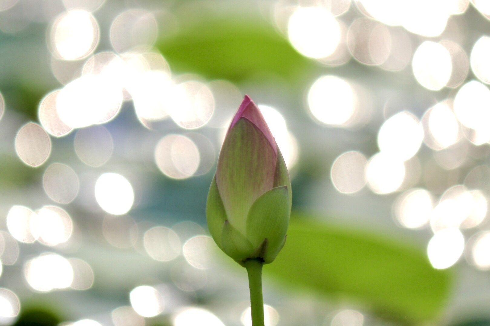 佐賀ップ 山だけではなく 山や岩や... / さとちゃん(iotan)さんのモーメント | YAMAP / ヤマップ