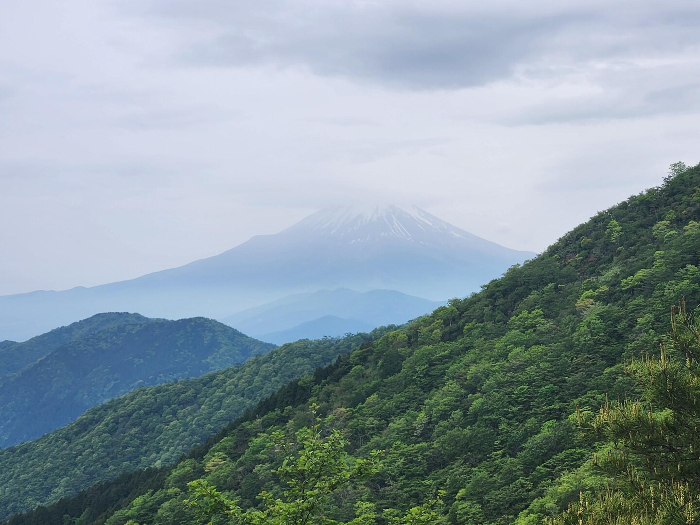 塔ノ岳 / kawanobuさんの塔ノ岳・丹沢山・蛭ヶ岳の活動データ | YAMAP / ヤマップ