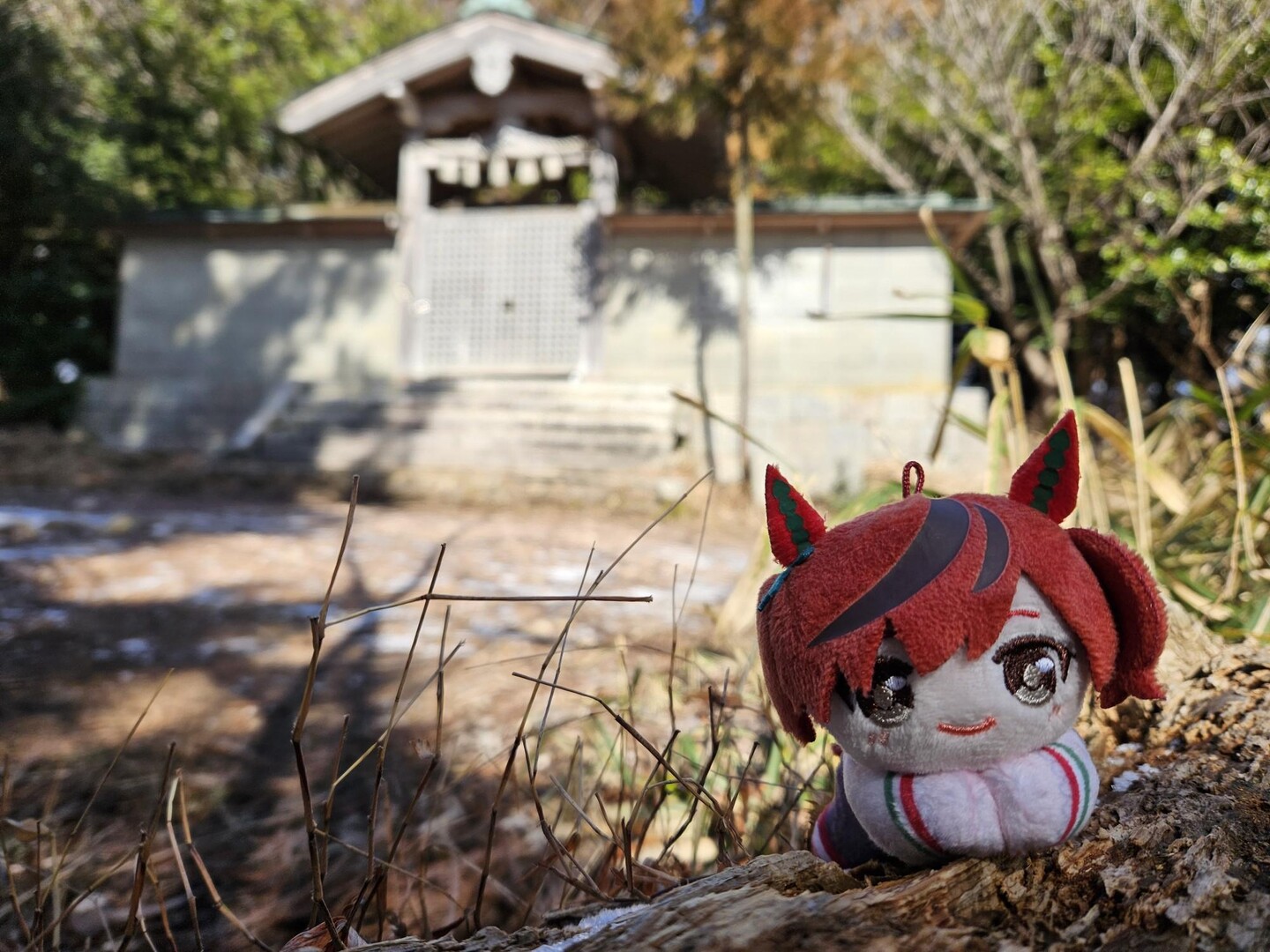 二上山（雄岳）・二上山（雌岳） / WOLF🐺さんの金剛山・二上山・大和葛城山の活動データ | YAMAP / ヤマップ