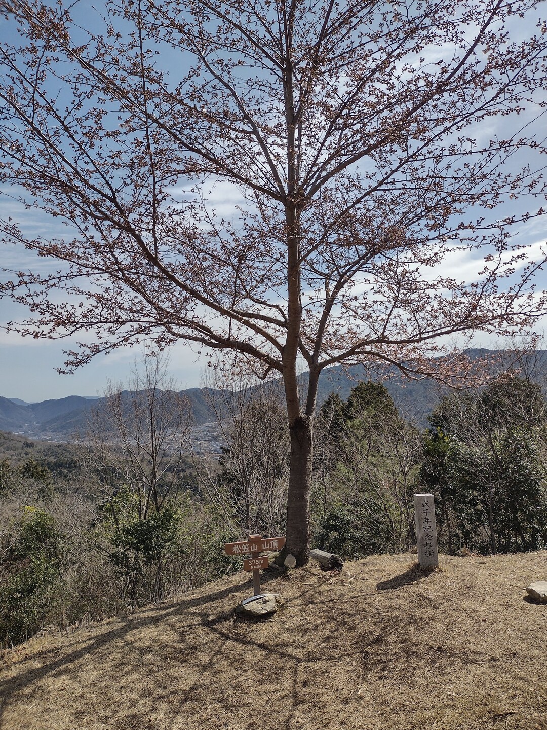 松笠山 / taizo-sさんの二ヶ城山・松笠山の活動データ | YAMAP / ヤマップ