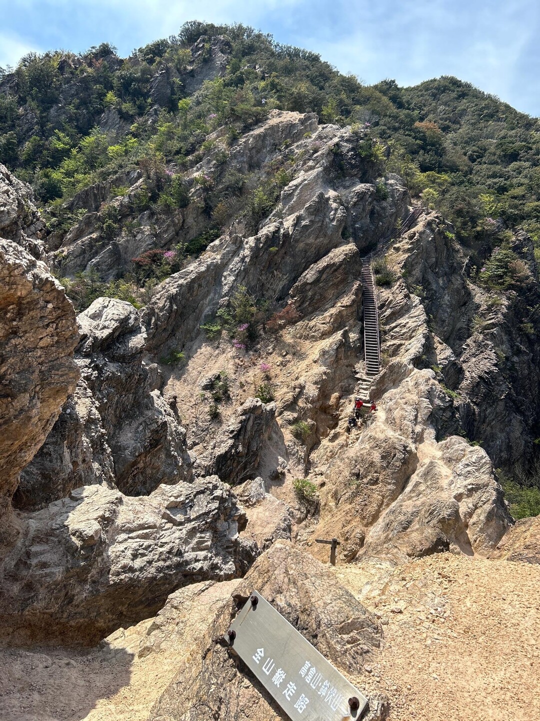 須磨アルプス☀️鉢伏山・旗振山・鉄拐山・高倉山・栂尾山・横尾山・東山 / yumi minさんの六甲山・長峰山・摩耶山の活動日記 | YAMAP / ヤマップ