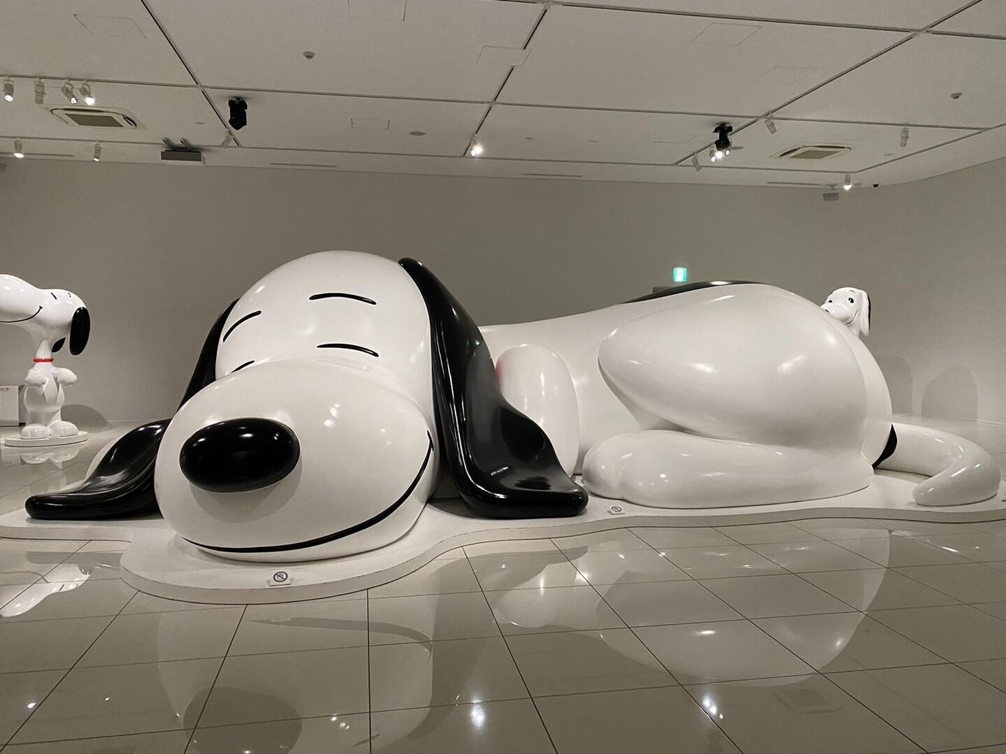 Chieのページ | YAMAP / ヤマップ