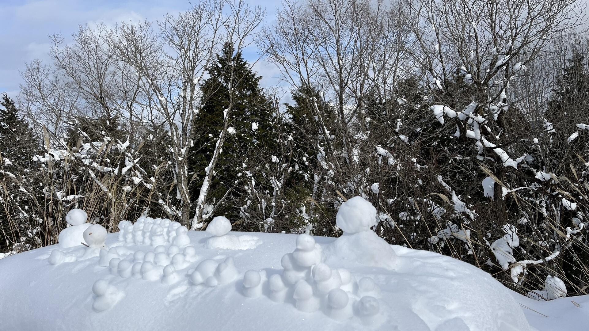 東山 / ノbuさんの東山の活動データ | YAMAP / ヤマップ