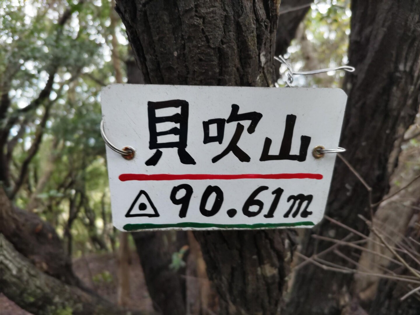 貝吹山【90.6m】いせトピア周回ｺｰｽ / さとちゃんさんの朝熊ヶ岳（朝熊山）・鼓ヶ岳・鷲嶺（袴腰山）の活動データ | YAMAP / ヤマップ