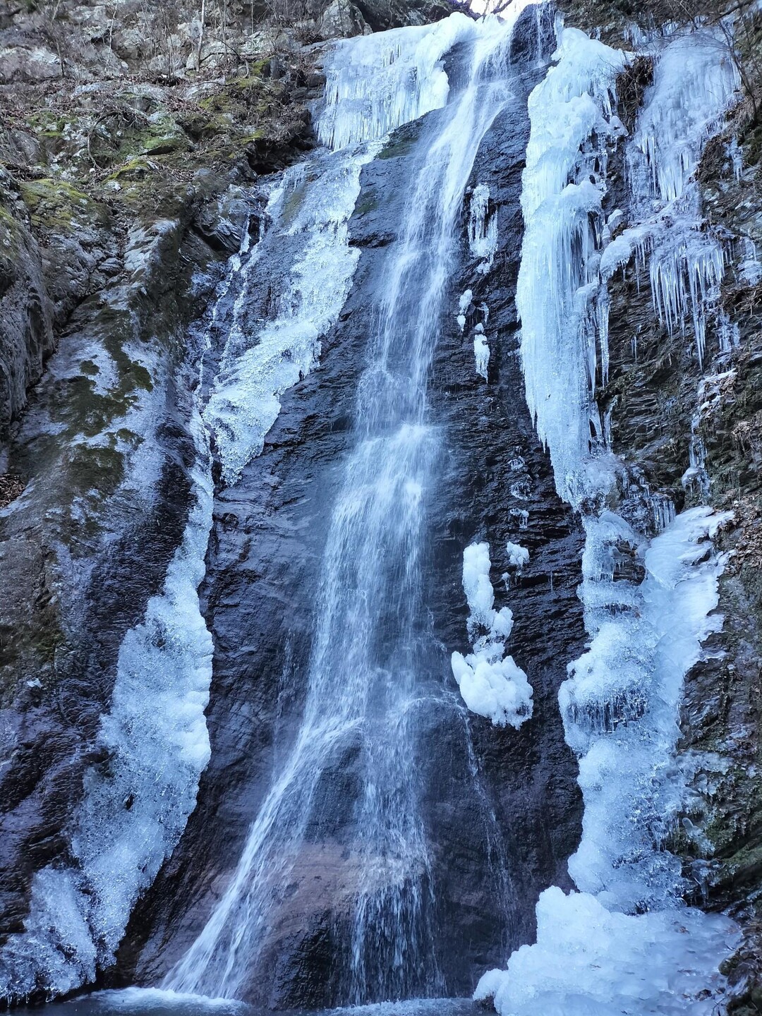 20250118(土)渓流荘BS〜グミの滝〜棒杭ノ頭北尾根↑〜離岩尾根↓〜白妙橋BS / りょーたんさんの雲取山・鷹ノ巣山・七ツ石山の活動データ | YAMAP / ヤマップ