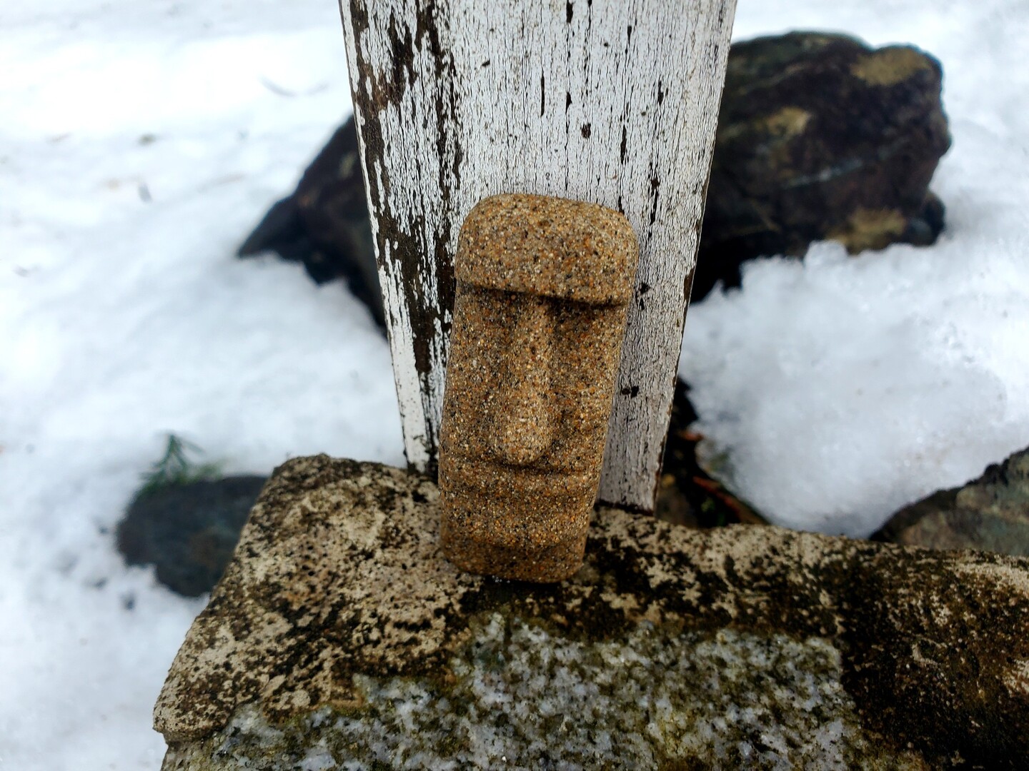 湯ノ岳トレイルレース22k試走 朝7時... / みつさんのモーメント | YAMAP / ヤマップ