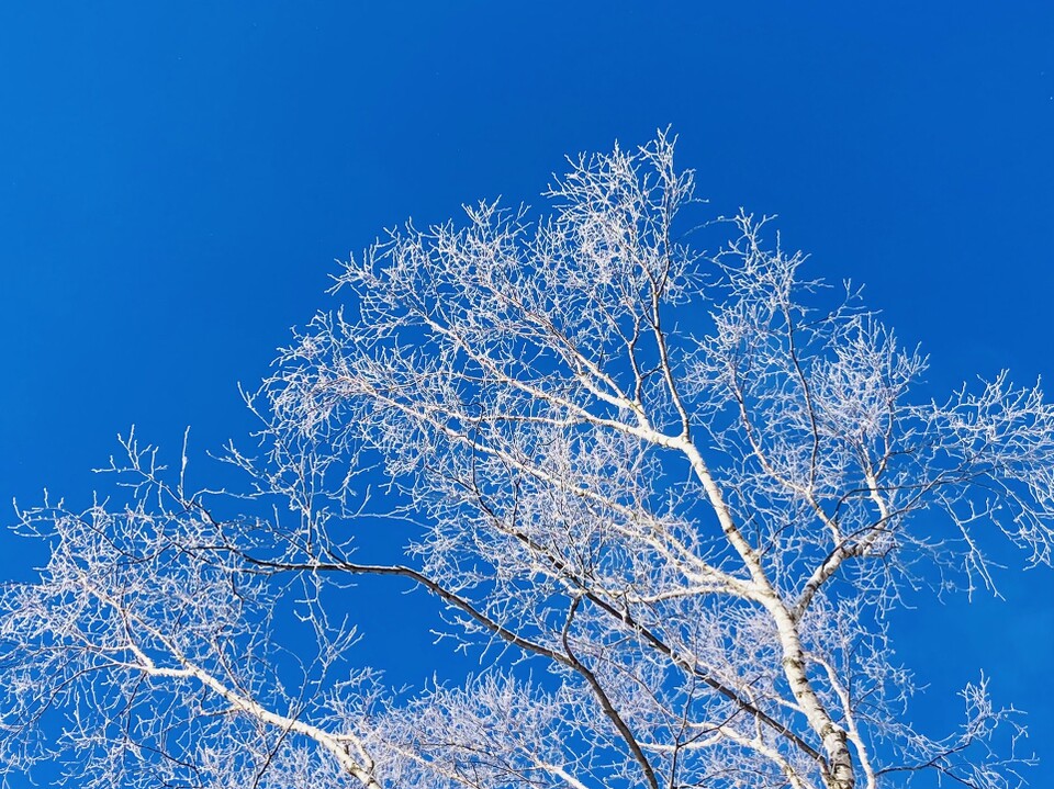 烏帽子岳登山口-烏帽子岳-湯ノ丸山-地蔵峠 周回コースの地図・登山ルート・登山口情報 | YAMAP / ヤマップ