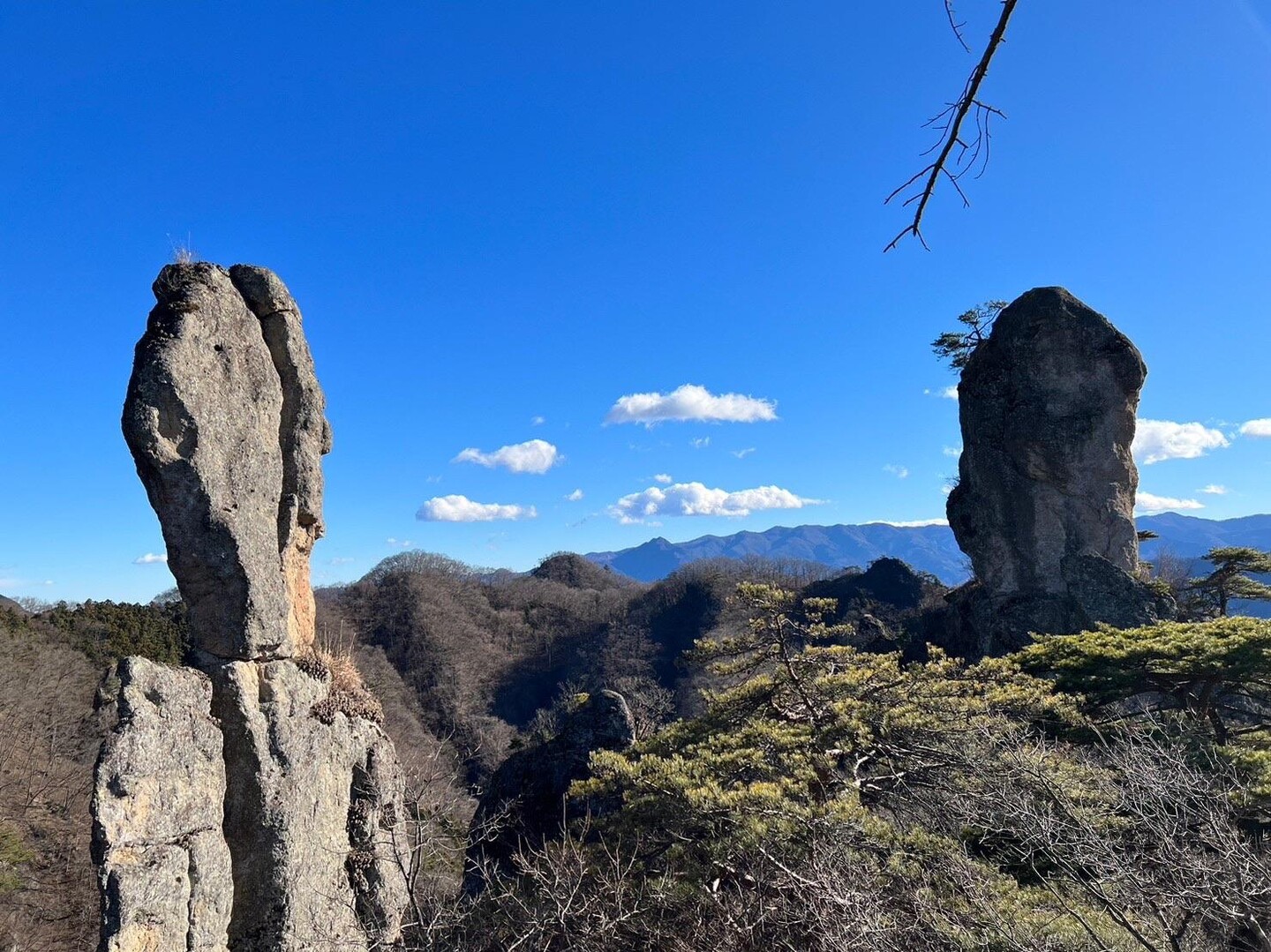御堂山 / KAY-Zさんの大桁山・鍬柄岳・御堂山の活動データ | YAMAP / ヤマップ
