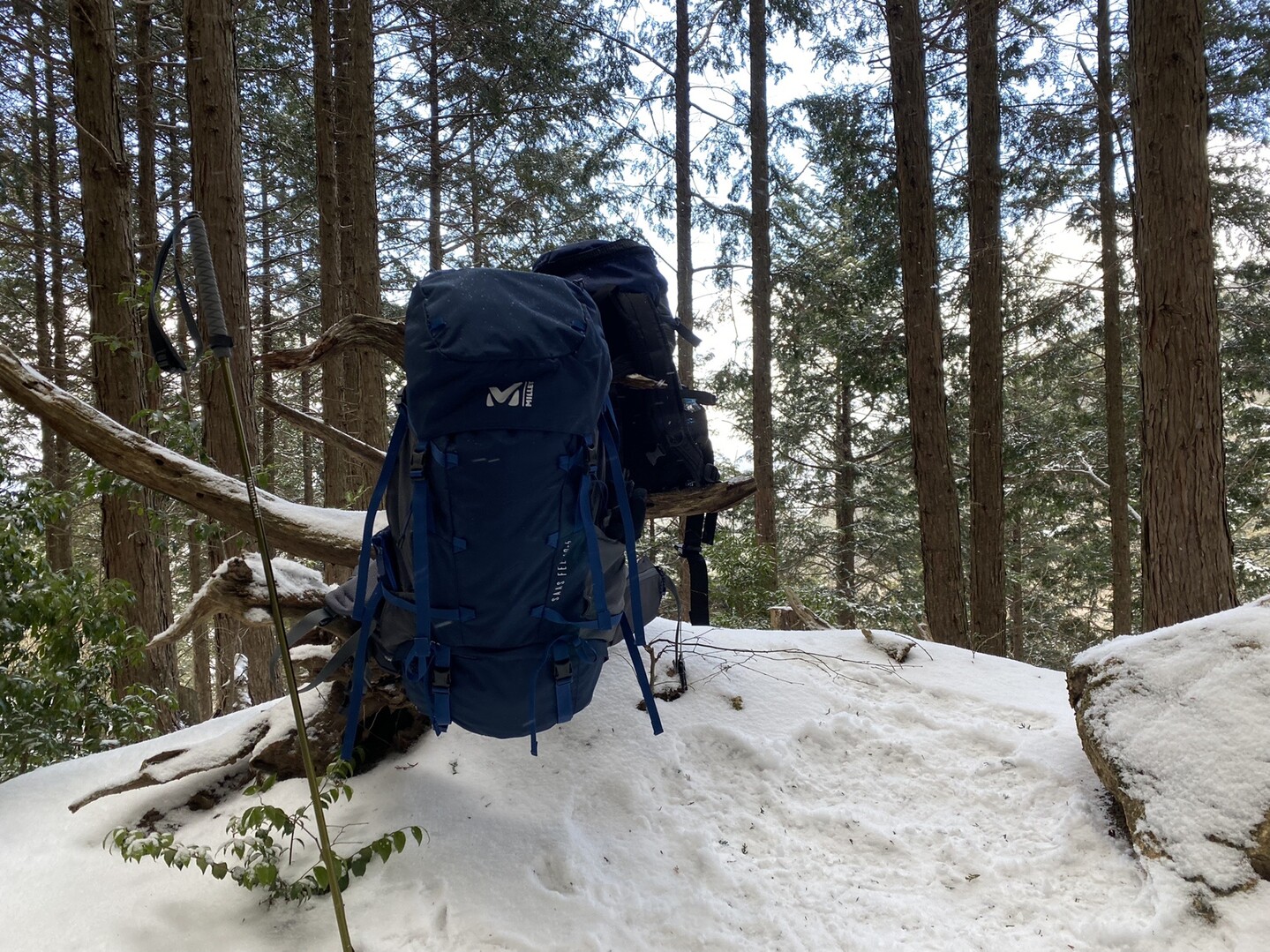 山の中の休憩は癒される。 / ko2さんのモーメント | YAMAP / ヤマップ