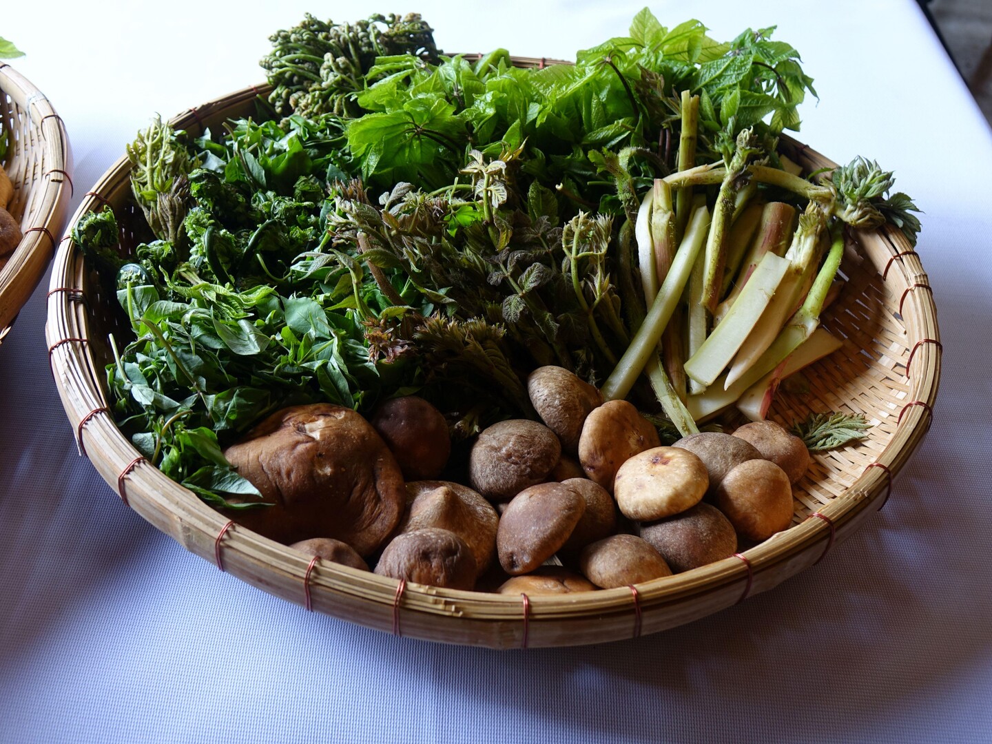 GW2日目。 今日は、岐阜県郡上市白鳥町... / Homanさんのモーメント | YAMAP / ヤマップ