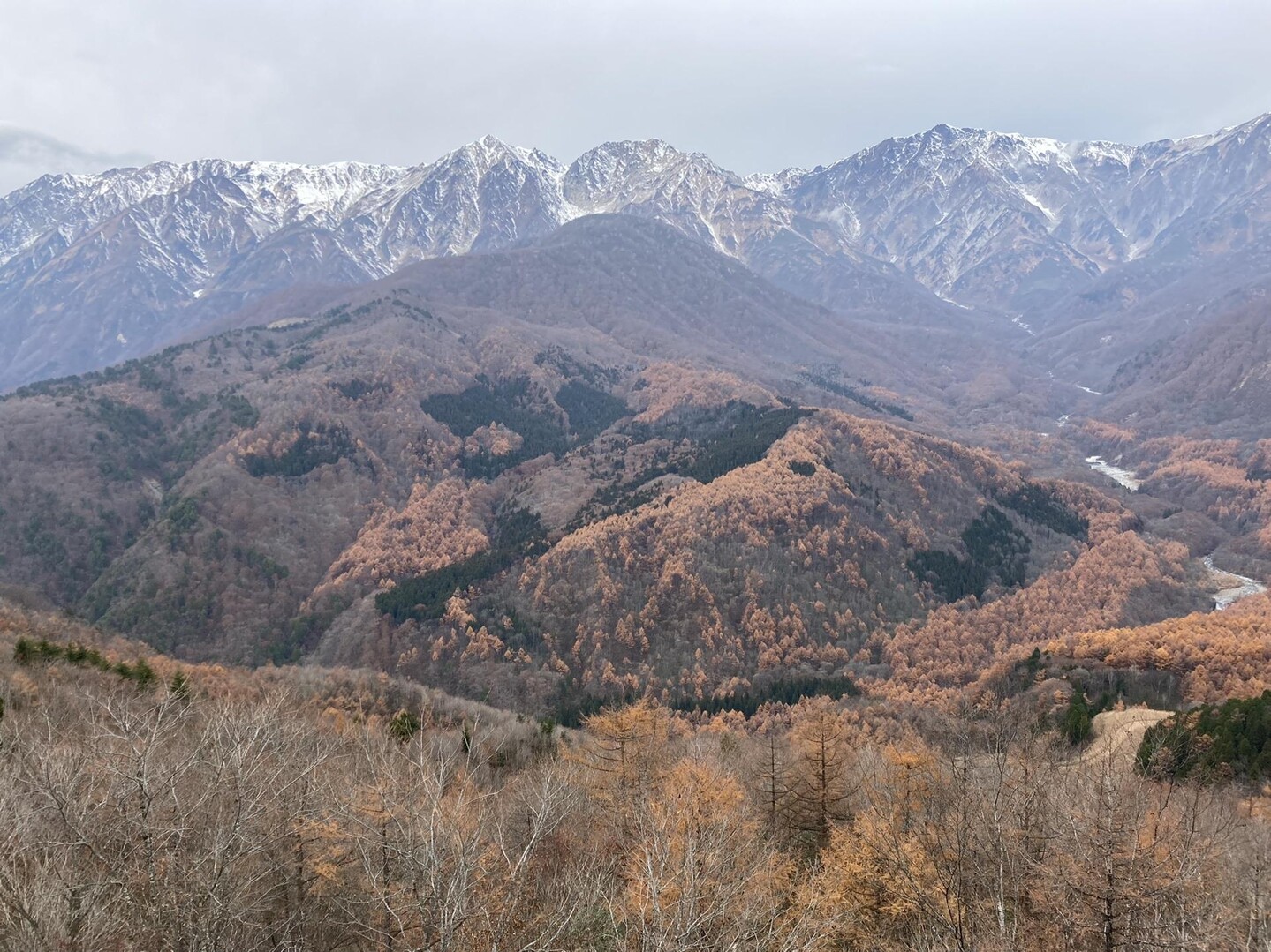 白馬岩岳マウンテンリゾートと大出公園 / BONDIさんのモーメント | YAMAP / ヤマップ