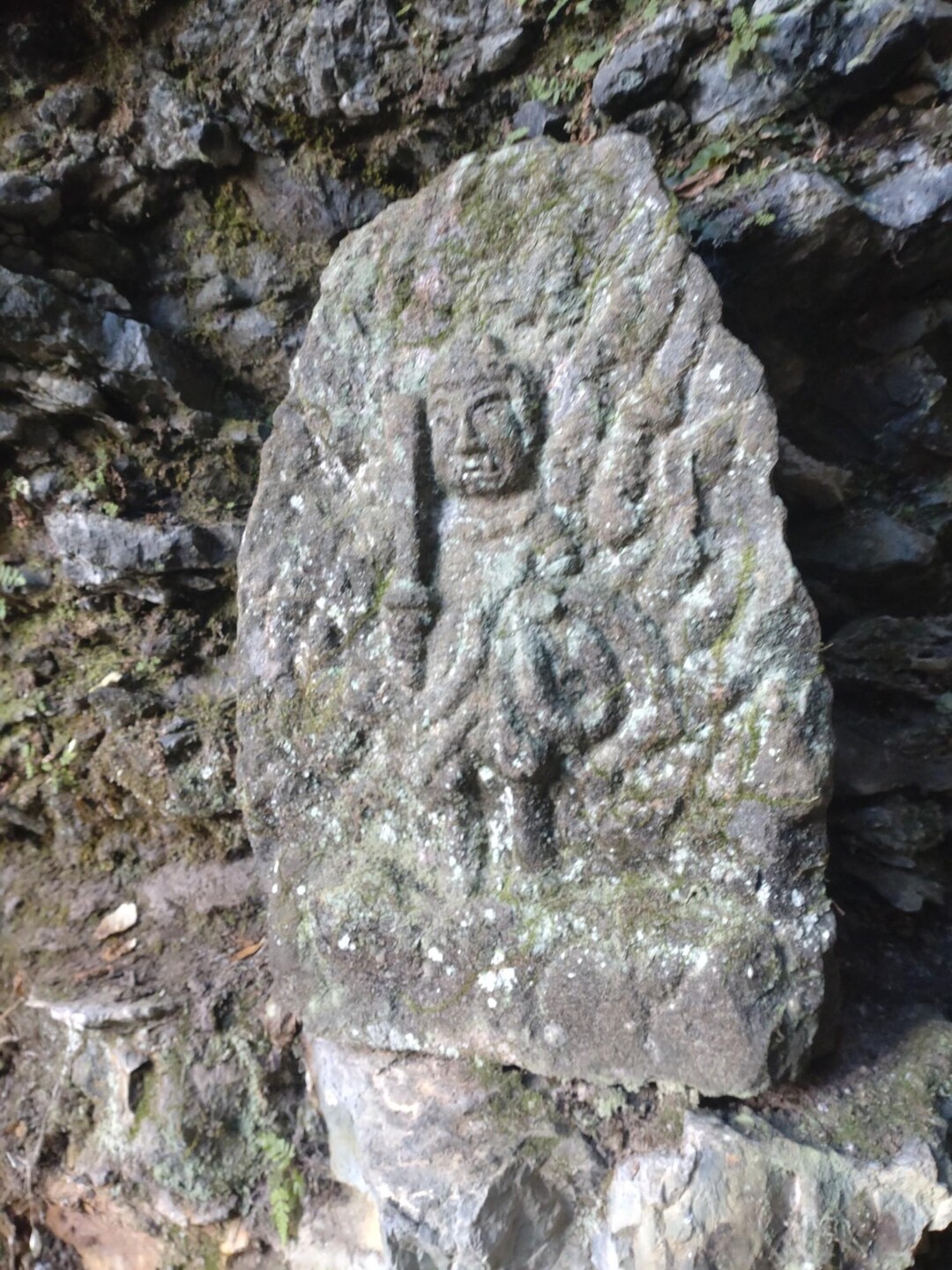 本城山 / hsysさんの高沢山・平成山・高曝山の活動データ | YAMAP / ヤマップ