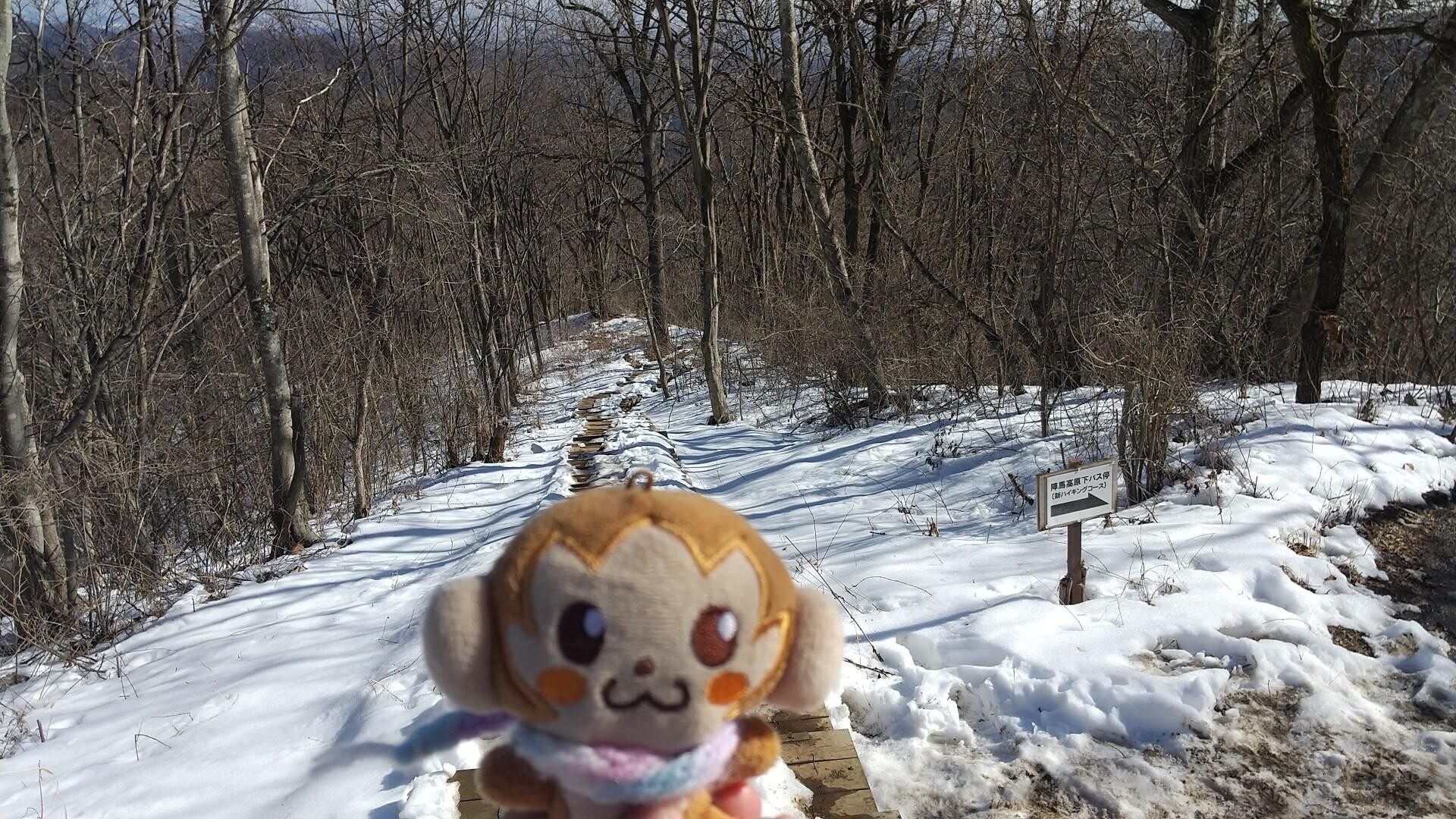 残雪の陣馬山に ️ / kumakoさんの高尾山・陣馬山・景信山の活動データ | YAMAP / ヤマップ