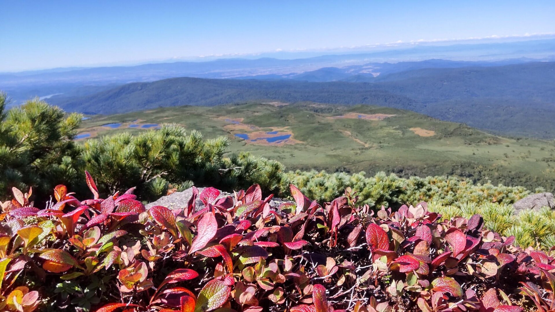 永山岳・安足間岳・当麻岳・1591ピーク / さびおさんの大雪山系・旭岳・トムラウシの活動データ | YAMAP / ヤマップ