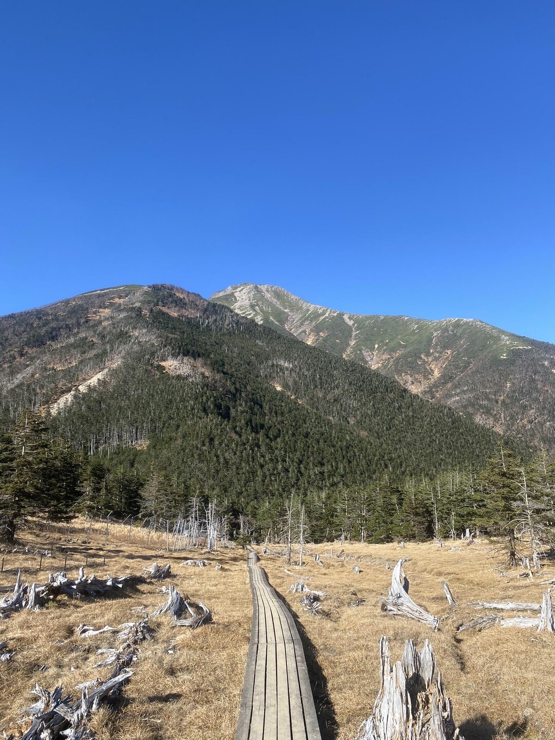 日帰り聖岳 沼平 / ichi-rokuさんの聖岳・大沢岳・光岳の活動データ | YAMAP / ヤマップ