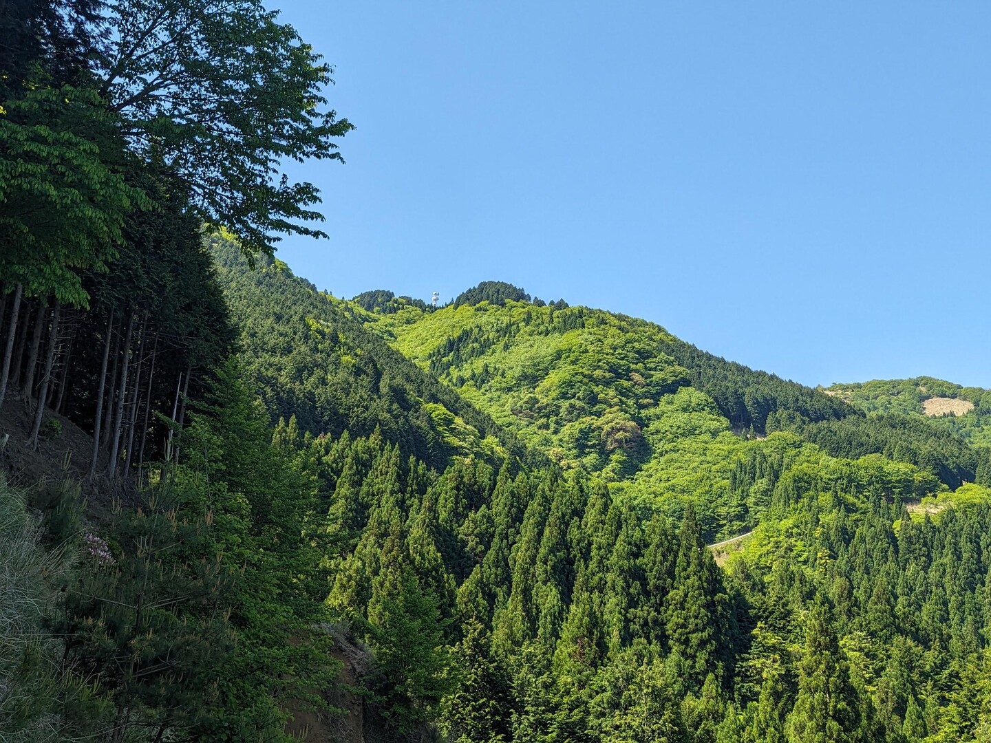 🤓粟鹿山💦近畿百名山#96 / "satoh"さんの粟鹿山の活動データ | YAMAP / ヤマップ