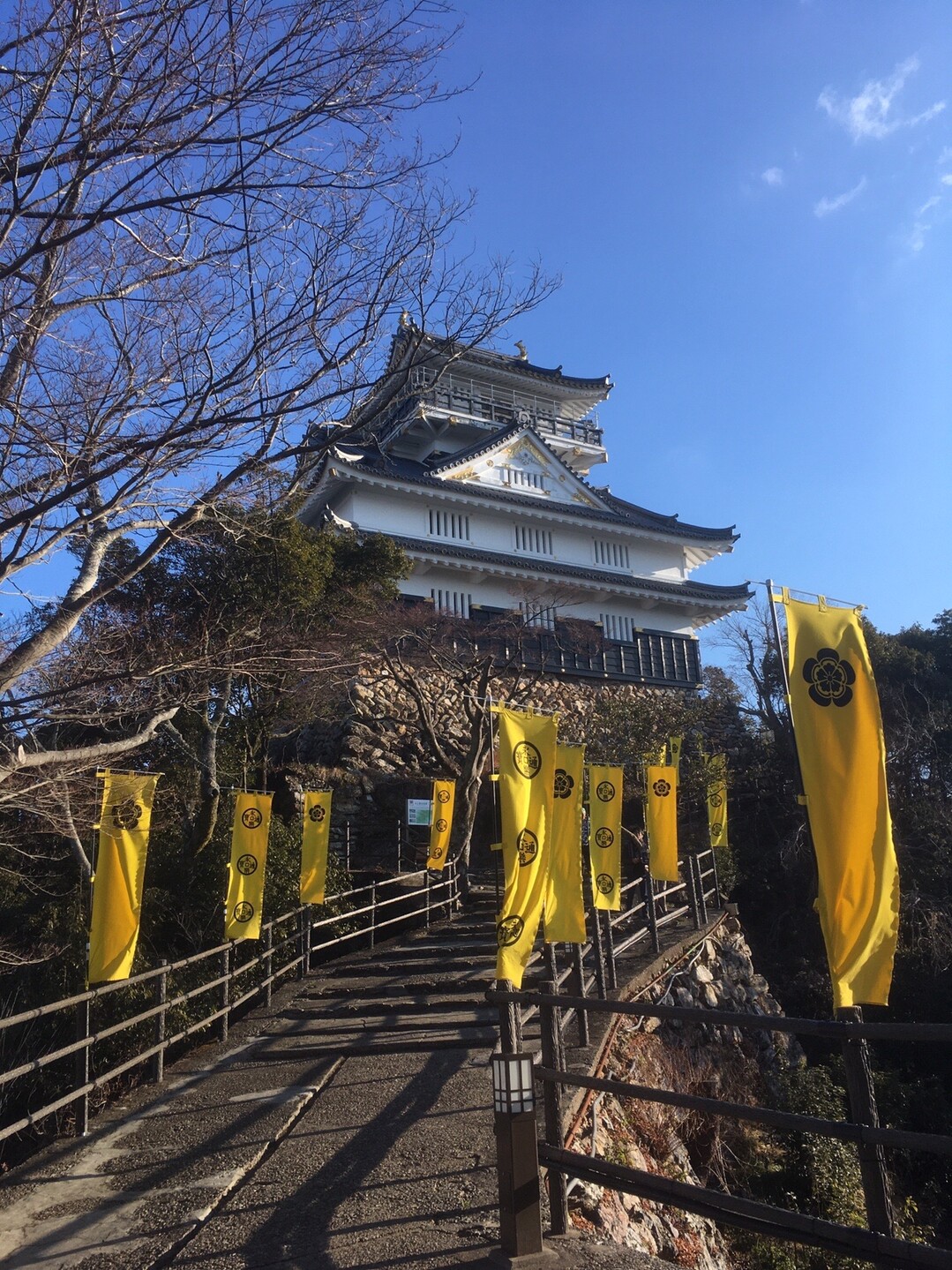金華山（岐阜県）・洞山・舟伏山-2020-02-11 / doalaさんの金華山・洞山・舟伏山の活動データ | YAMAP / ヤマップ
