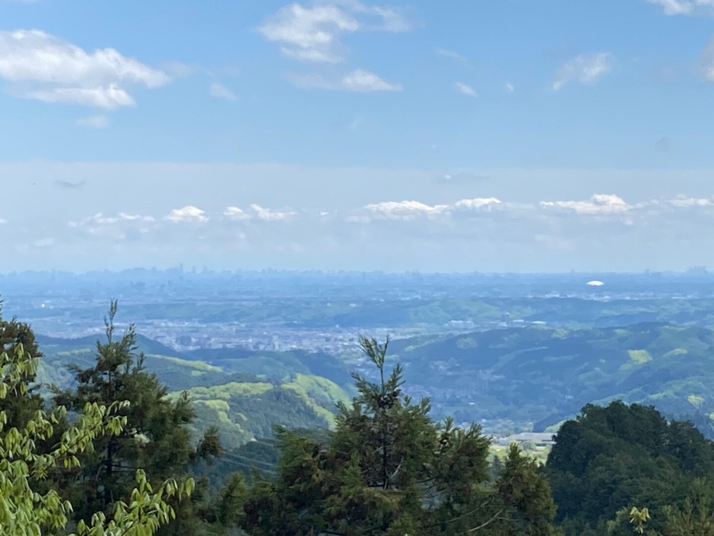 天覧山・多峯主山・久須美山・天覚山 / Water Rabbitさんのヤマノススメ巡礼マップ（天覚山・大高山・子の権現）の活動データ | YAMAP / ヤマップ