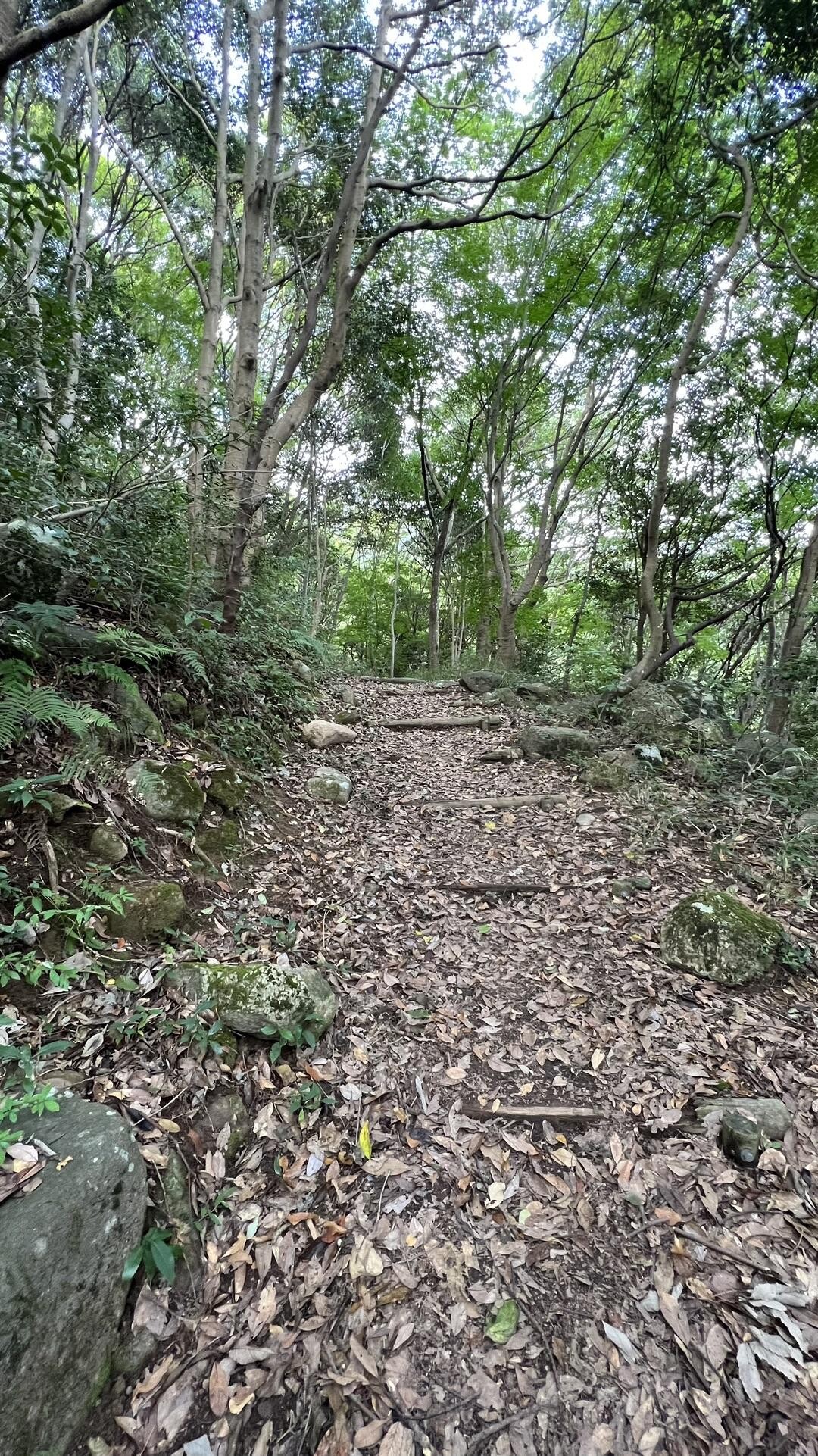 一仕事いってきまーーす🚶‍♂️💨 / kentakaさんのモーメント | YAMAP / ヤマップ