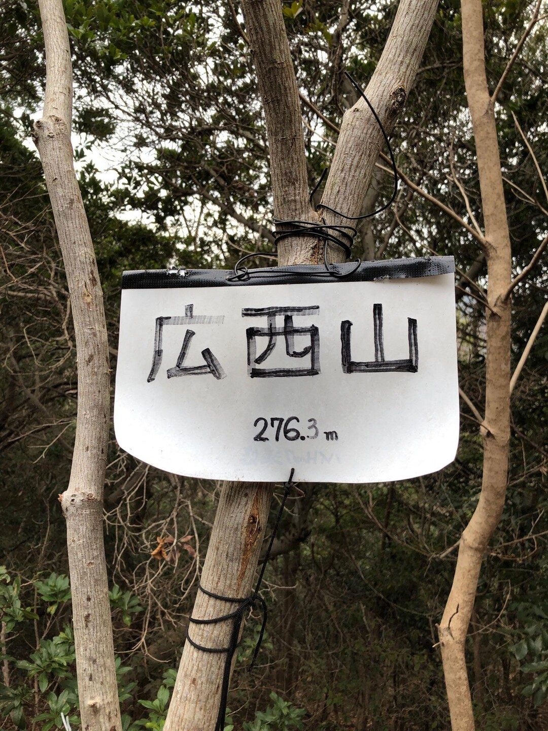 広西山 / Zak-Sanさんの紀泉アルプス・飯盛山・ボンデン山の活動データ | YAMAP / ヤマップ